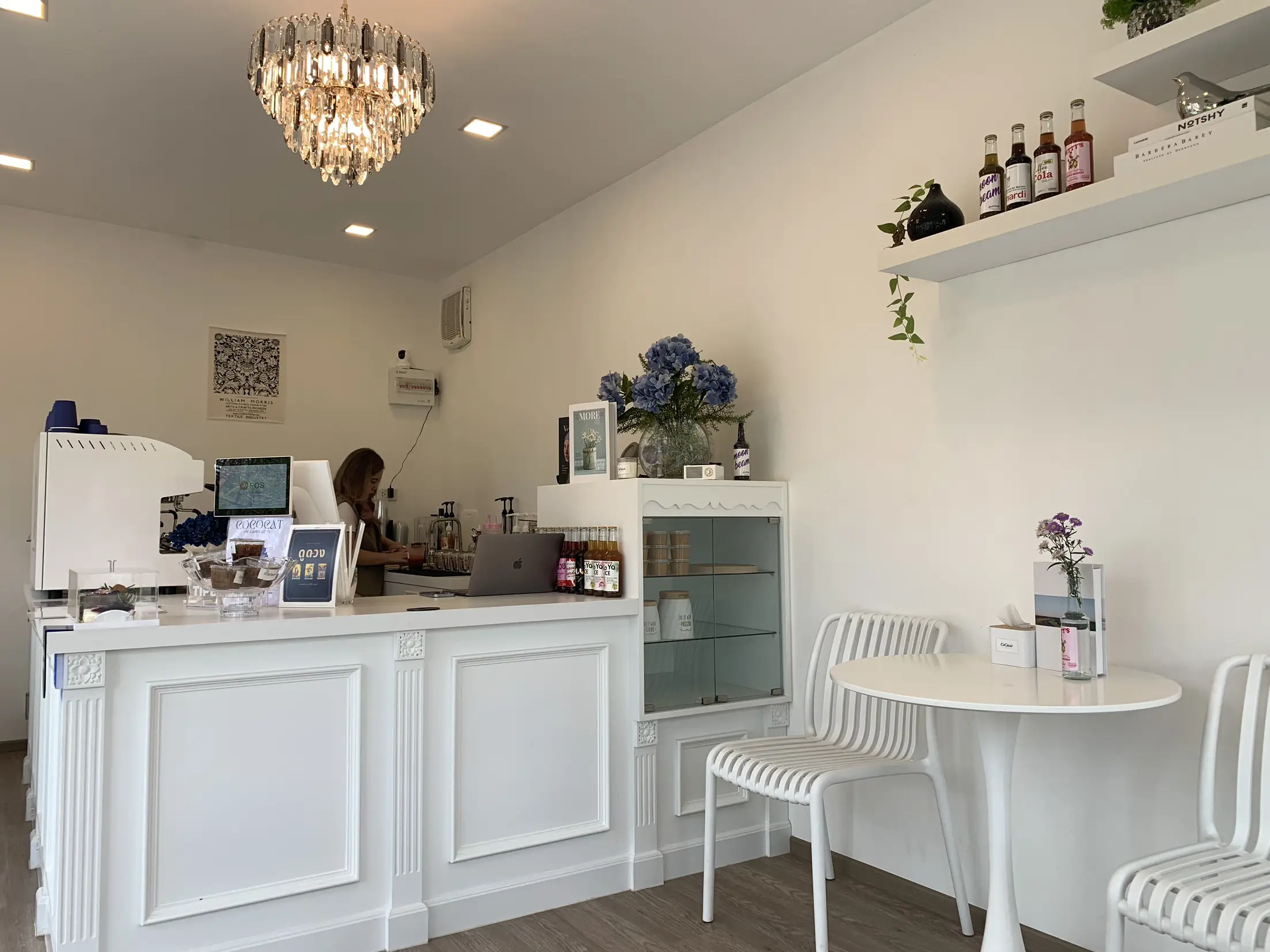 Cococat cafe ☕️ | แกลเลอรีที่โพสต์โดย Catoon9746 | Lemon8