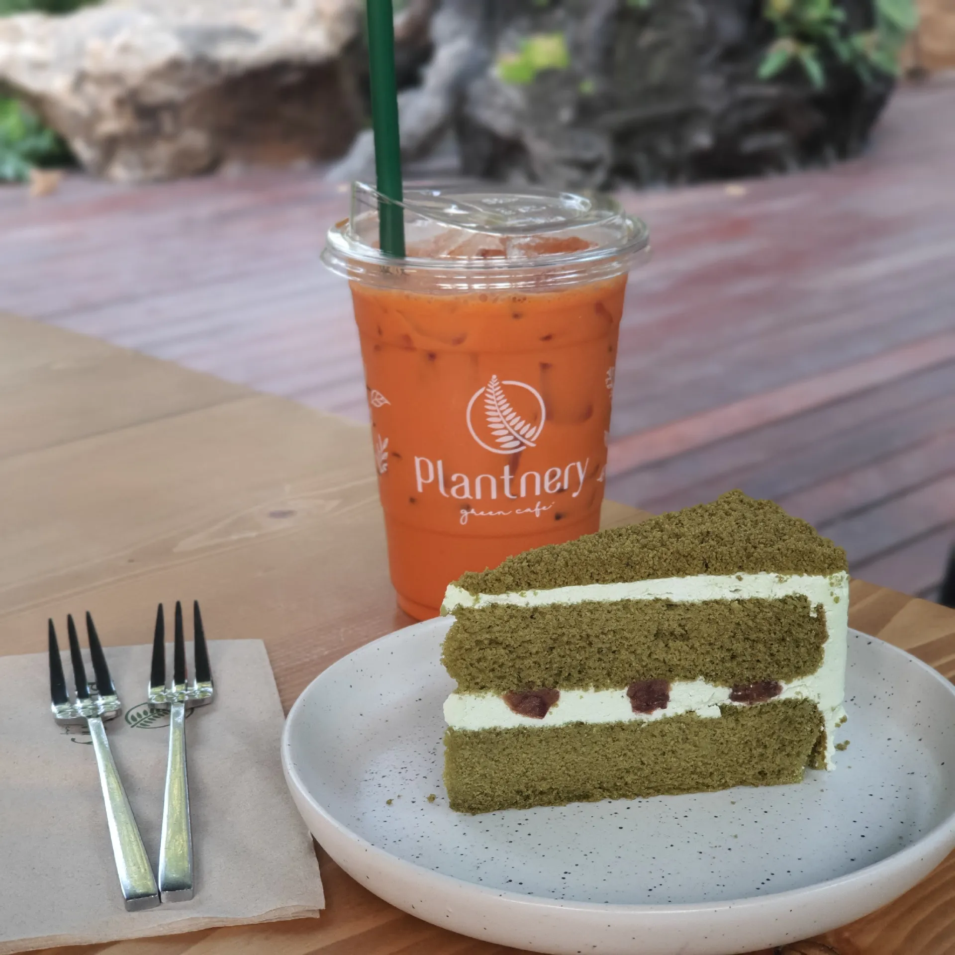 ร้าน plantnery | แกลเลอรีที่โพสต์โดย BAITOEY🌻 | Lemon8