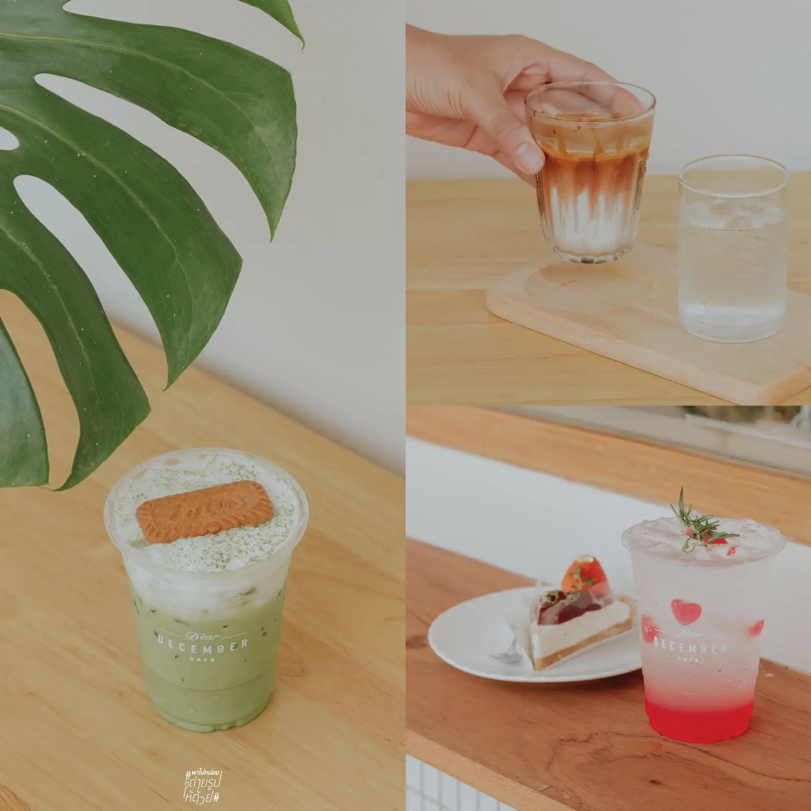 Dear December Cafe ♡ คาเฟ่คิ้วท์ๆ สไตล์มินิมอล | แกลเลอรีที่โพสต์โดย พา ...