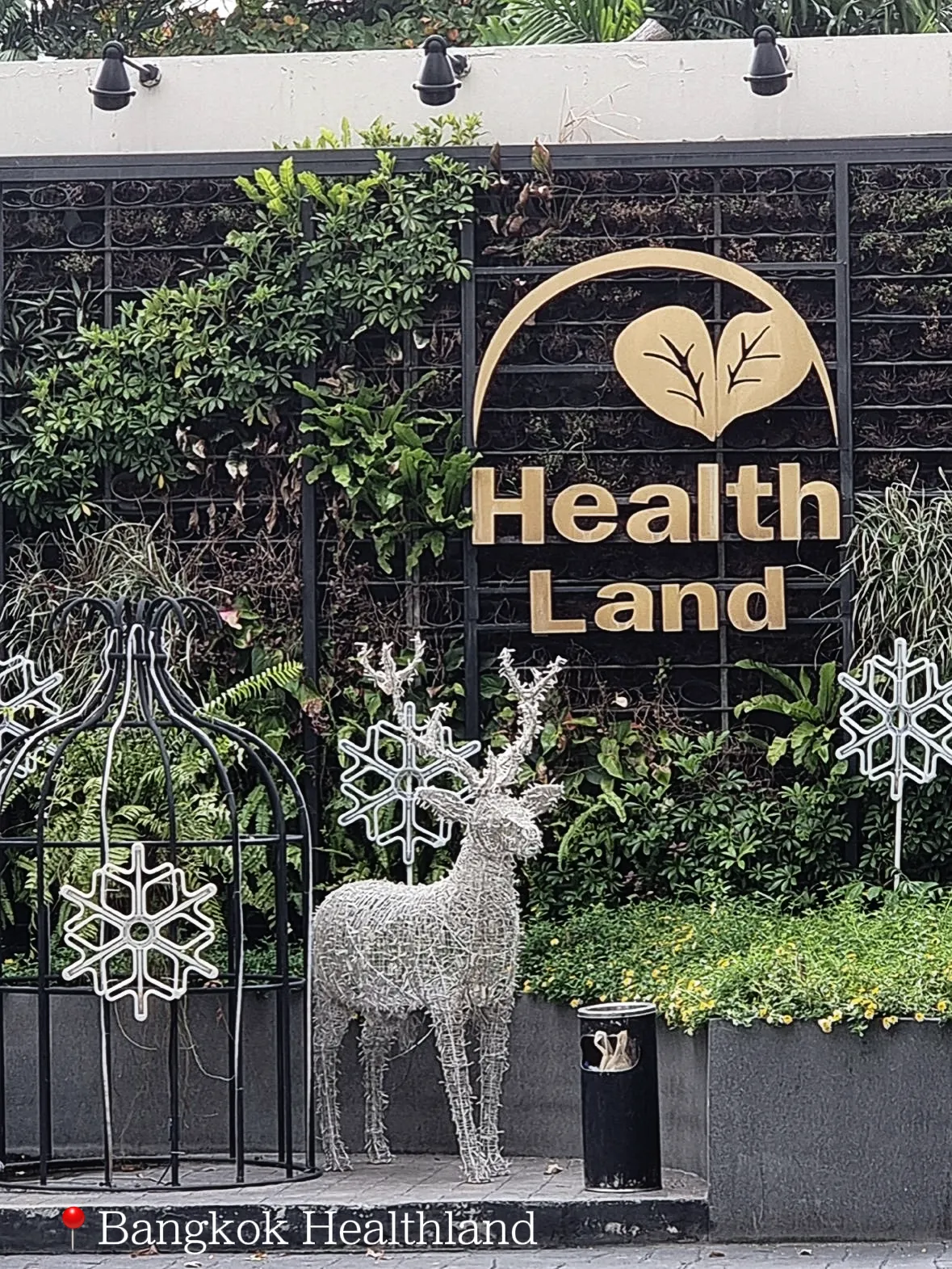 Massage in Bangkok Healthland | Gallery posted by Rina | Lemon8