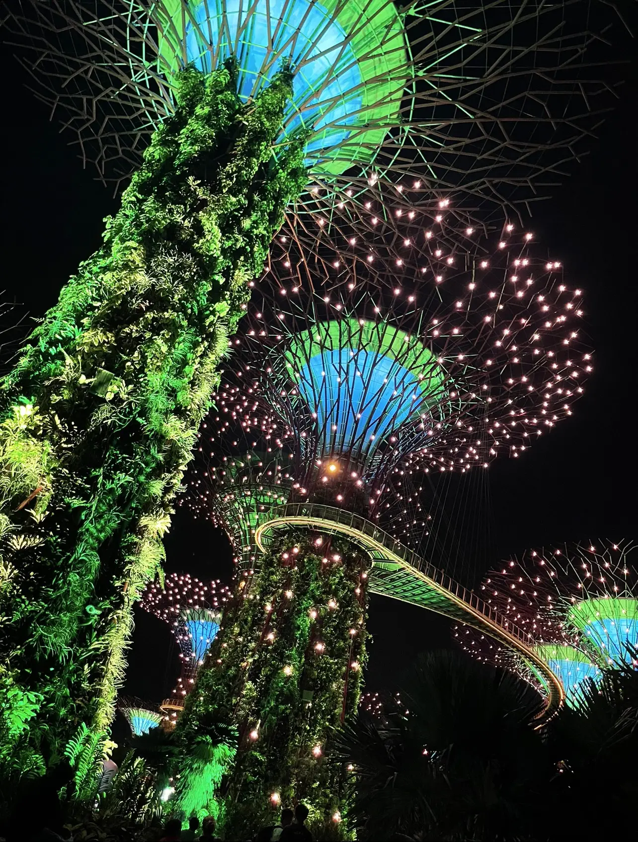 โชว์ไฟ Supertree🌳@Garden by the bay Singapore | แกลเลอรีที่โพสต์โดย เจไดดดดดด | Lemon8