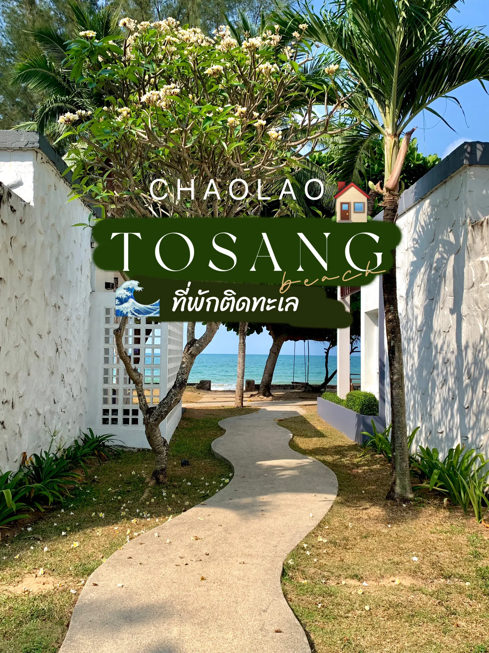 รีวิวที่พักติดทะเล ตกคนละ ~700 😱 รวมบุฟเฟต์อาหารเช้า | แกลเลอรีที่โพสต์โดย k thika | Lemon8