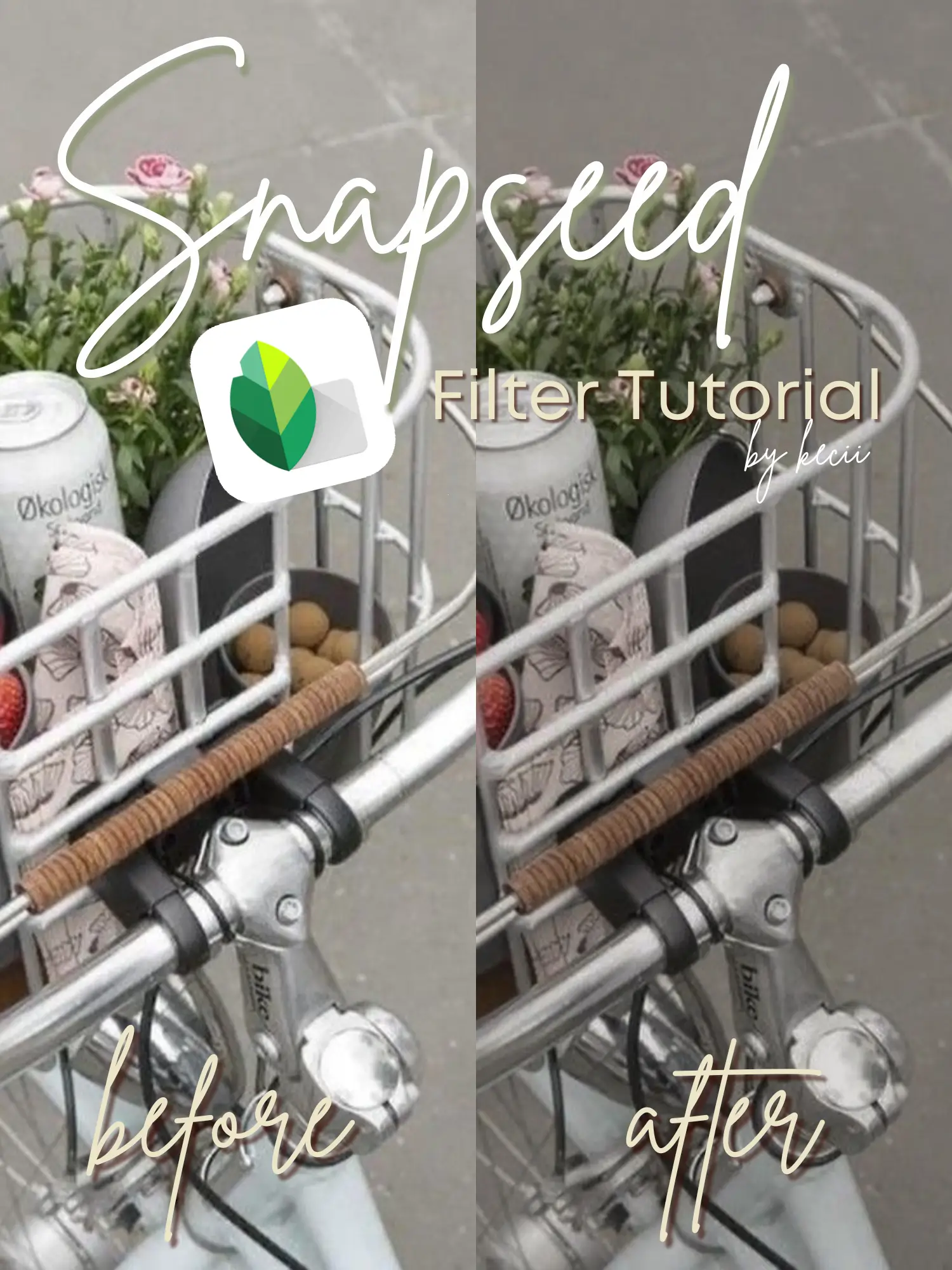 snapseed edit - Pencarian Lemon8