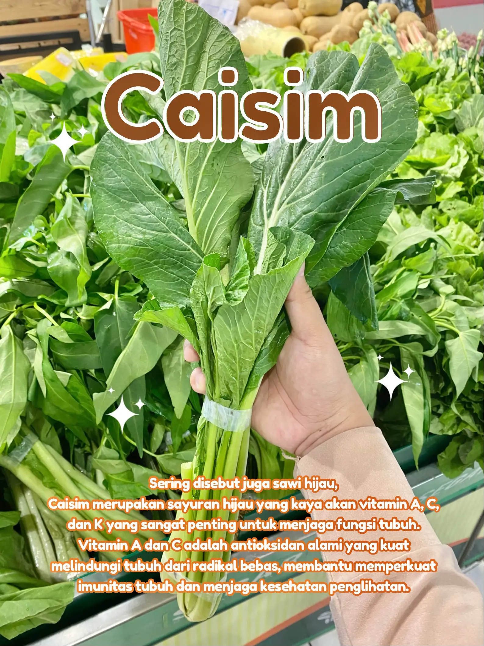 Apa sih Bedanya Pakcoy, Caisim, sama Kailan? 😍🥬 | Galeri diposting oleh ...