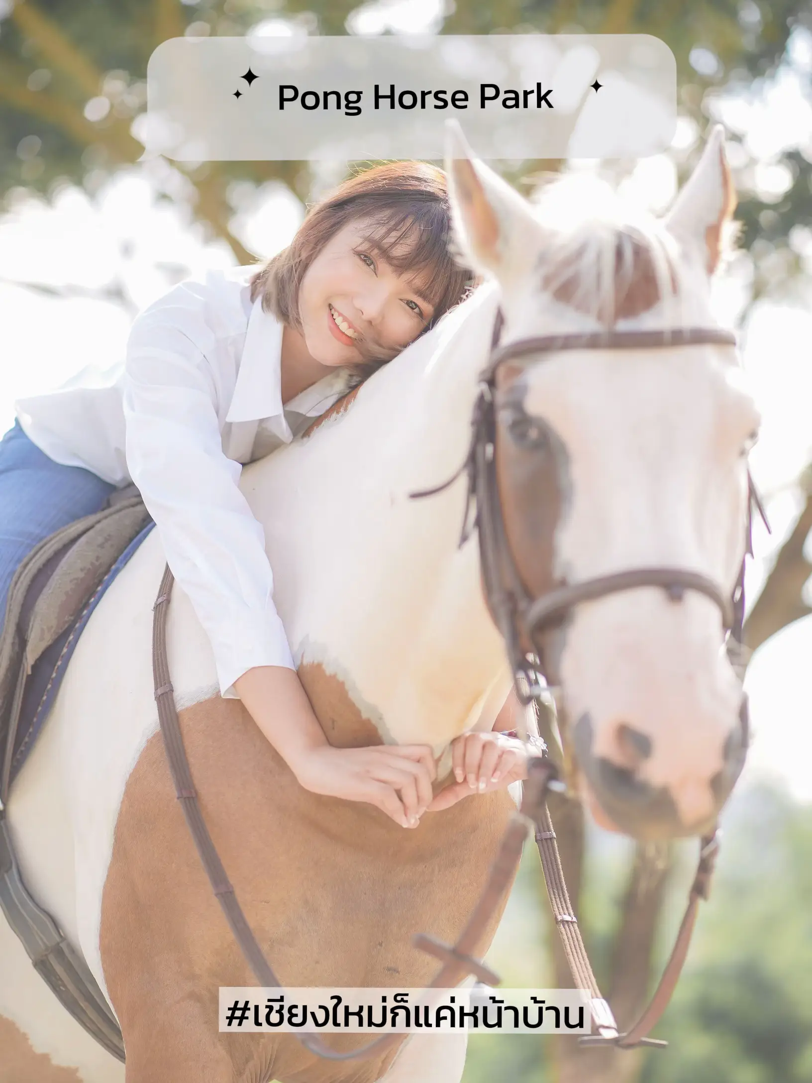 Pong Horse Park 🐴 | แกลเลอรีที่โพสต์โดย jooppa.joop | Lemon8