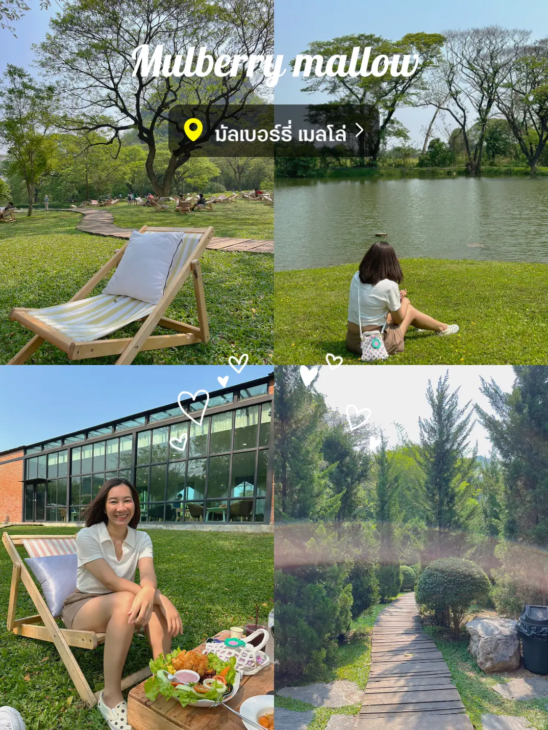 Mulberry mellow cafe | แกลเลอรีที่โพสต์โดย Maebear | Lemon8