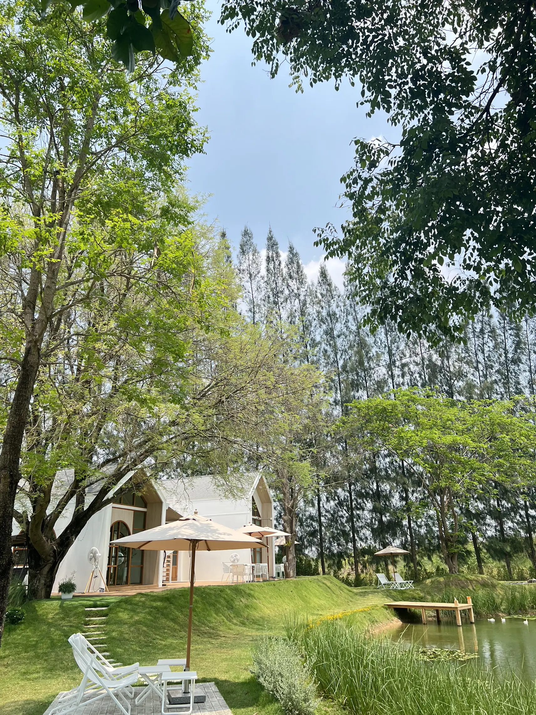 Trio_Farm_Cafe คาเฟ่ฟิวเขาใหญ่ @กาญจนบุรี | แกลเลอรีที่โพสต์โดย Ardy ️ | Lemon8