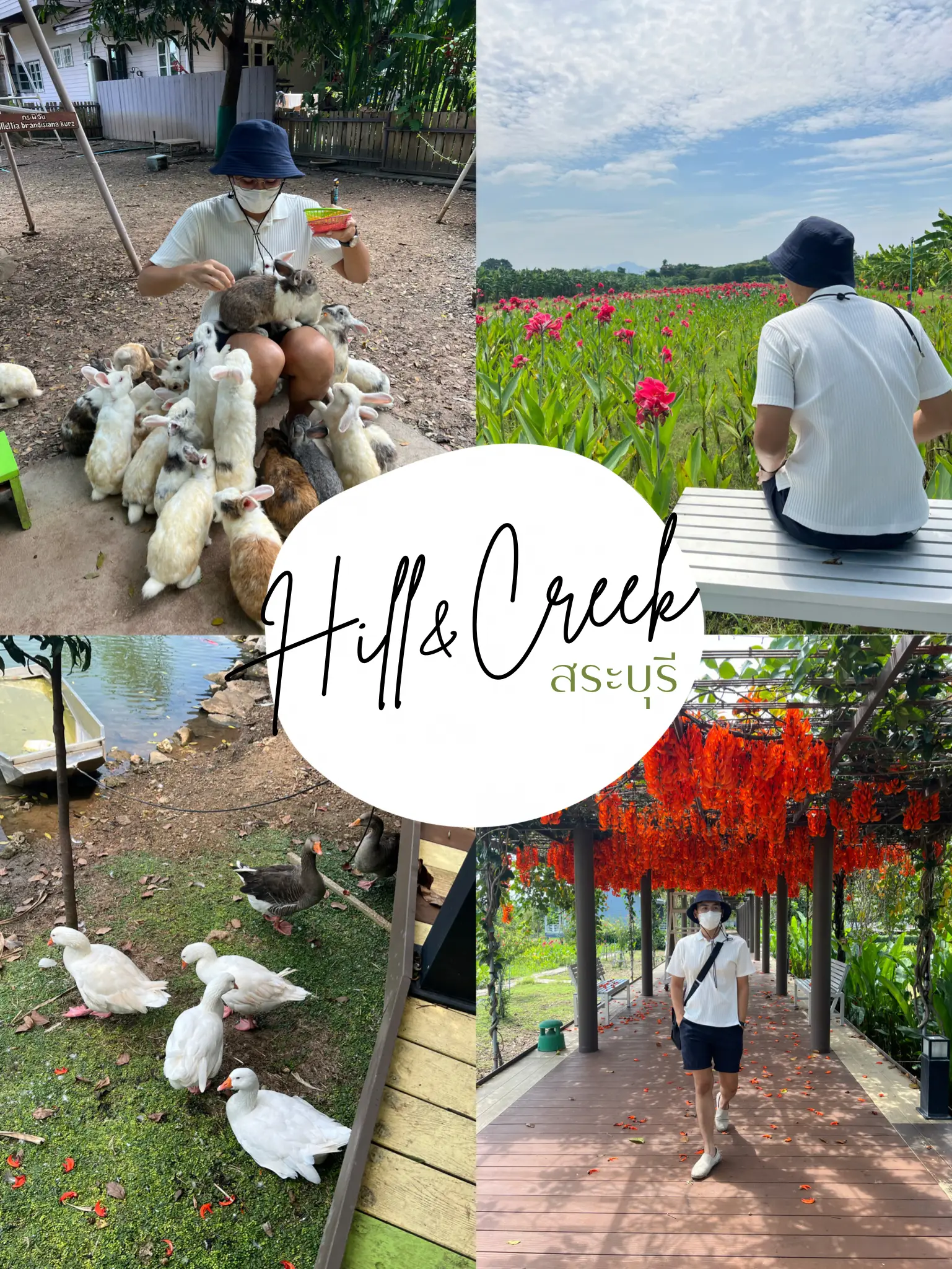 ปล่อยใจ ใกล้ชิดธรรมชาติ 🌿🐇 Hill & Creek สระบุรี | แกลเลอรีที่โพสต์โดย titlemeta | Lemon8
