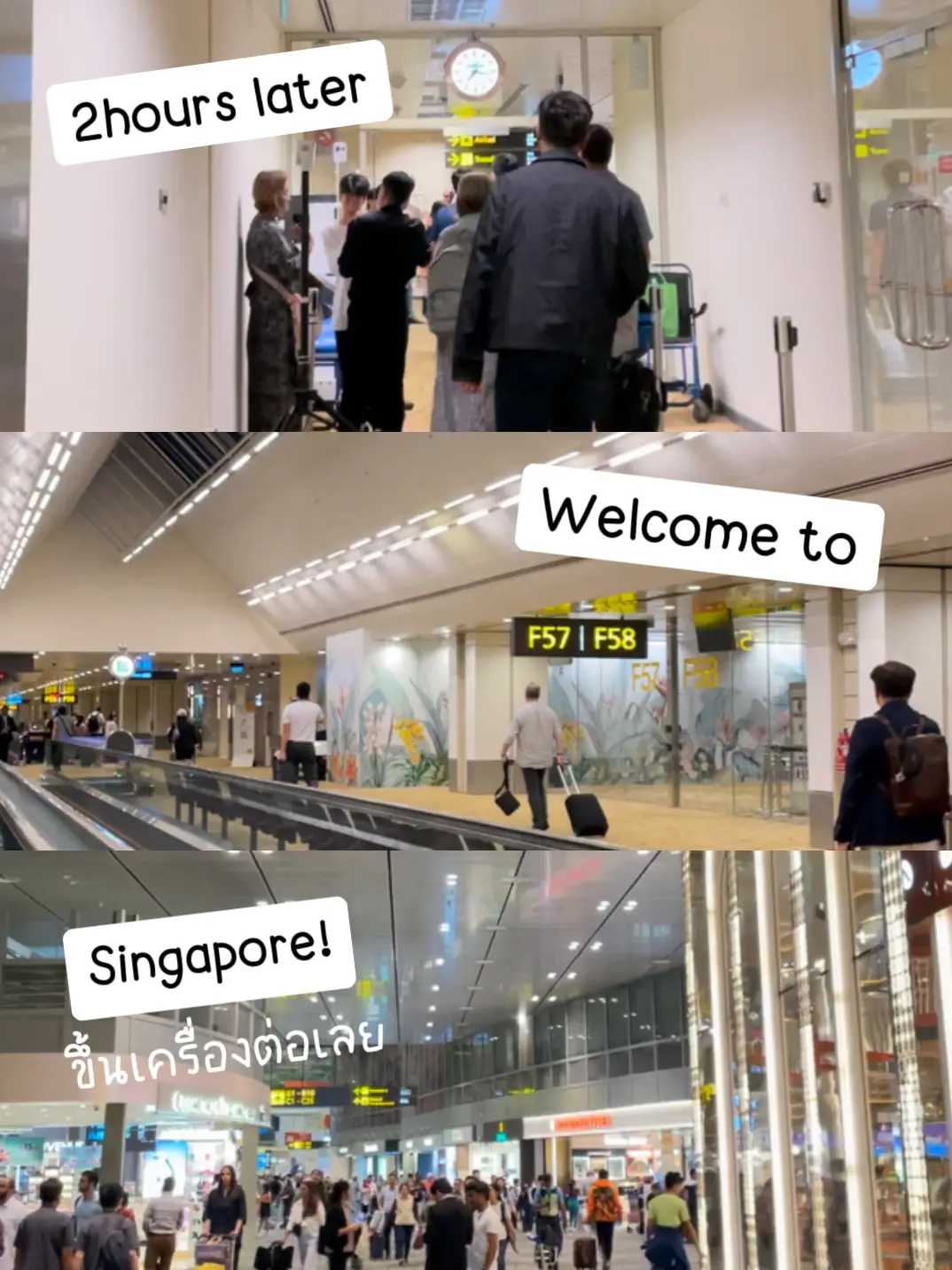 REVIEW | Singapore & NZ Airline จาก BKK-CHC 17ชม. ️ | แกลเลอรีที่โพสต์ ...