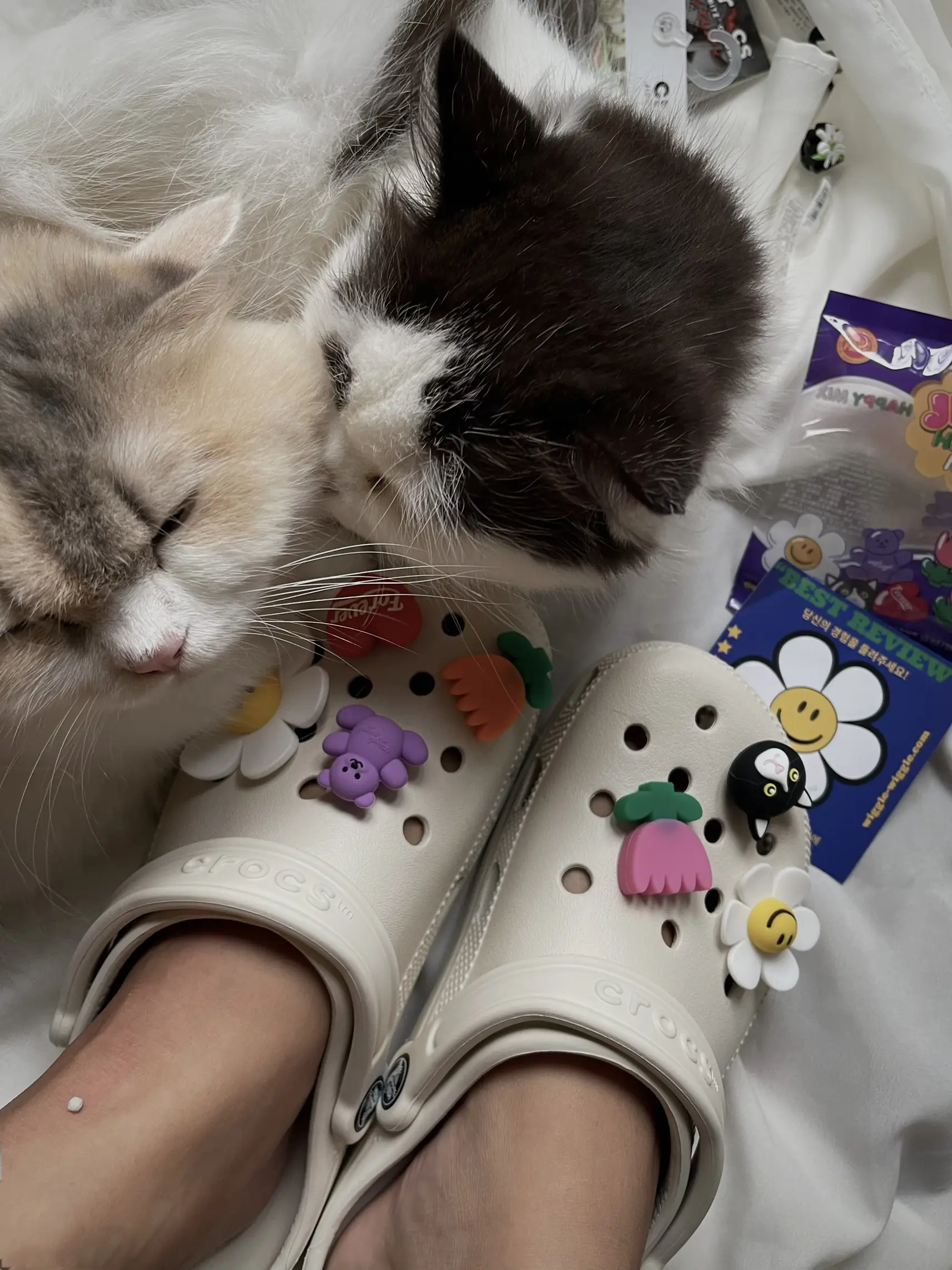 ใส่ crocs ยังไงให้ไม่น่าเบื่อ!! ตกแต่งด้วย jibbitz 🫶🏻💗 | แกลเลอรีที่ ...