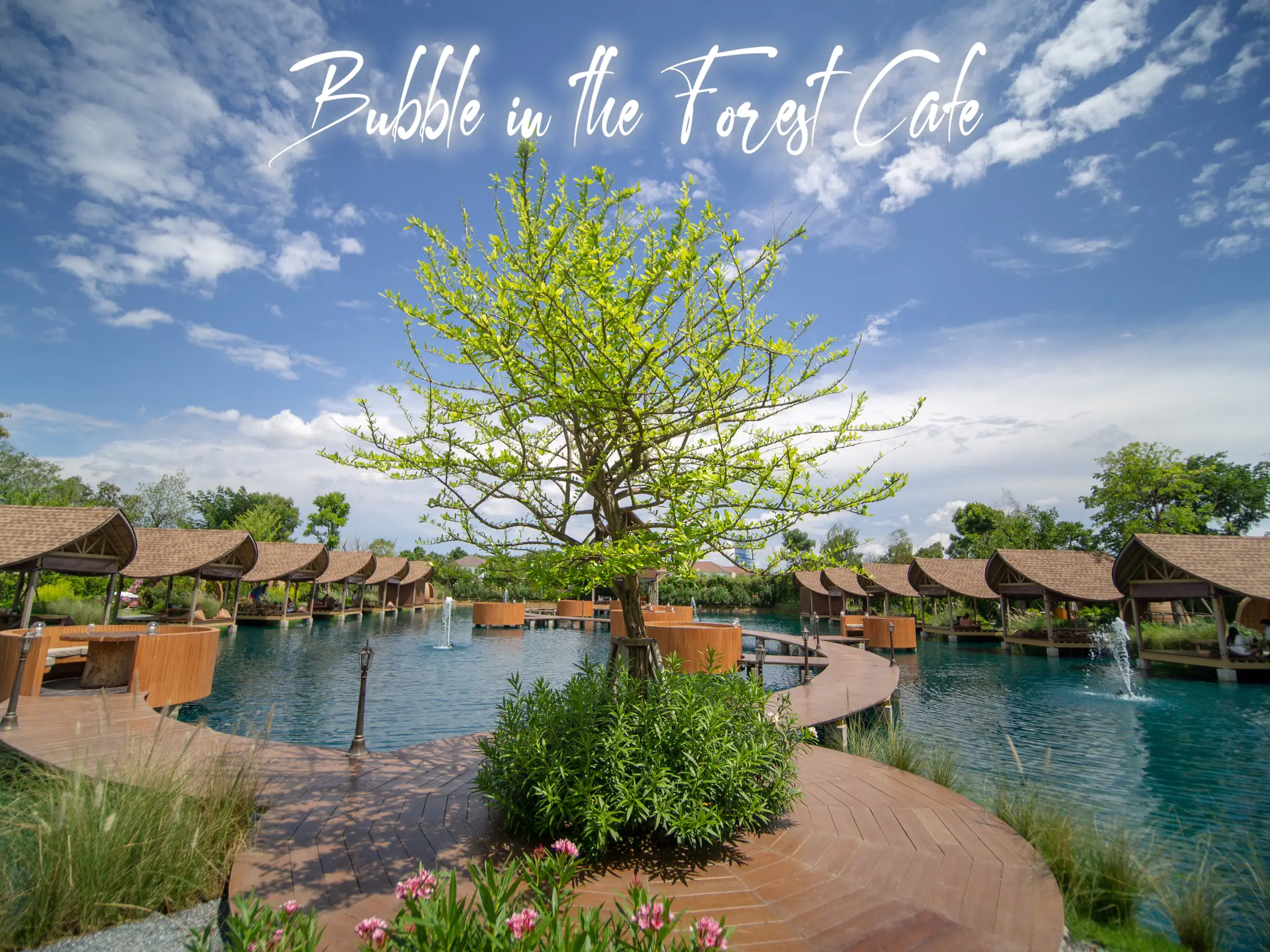 Bubble in the Forest Cafe.. | แกลเลอรีที่โพสต์โดย UncleJourney | Lemon8
