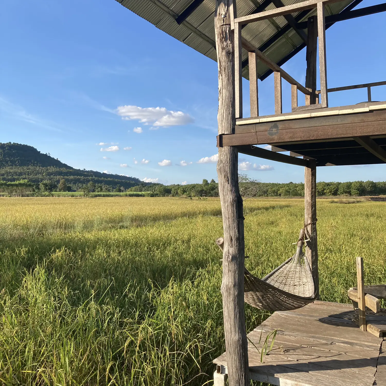 NANG NA | คาเฟ่กาฬสินธุ์•สหัสขันธ์ | แกลเลอรีที่โพสต์โดย ชอบกินมาก | Lemon8