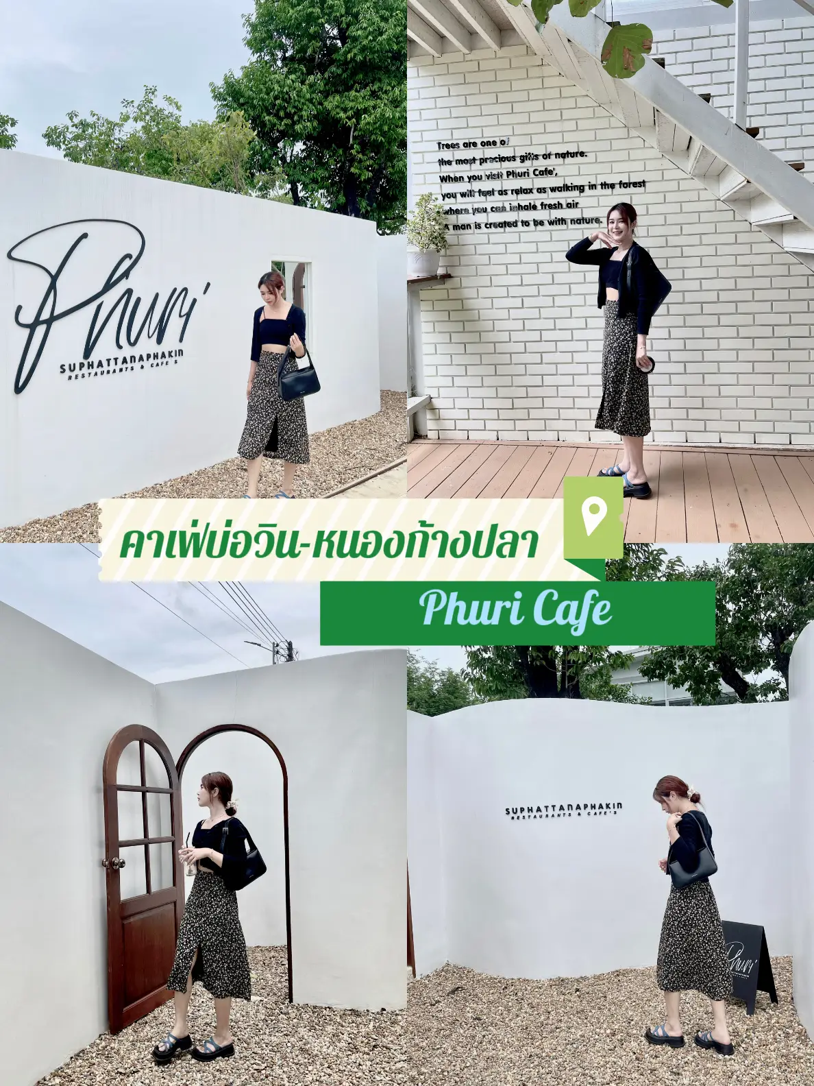 Phuri Cafe’บ่อวิน | แกลเลอรีที่โพสต์โดย 🐰ʙᴇᴇʀ | Lemon8