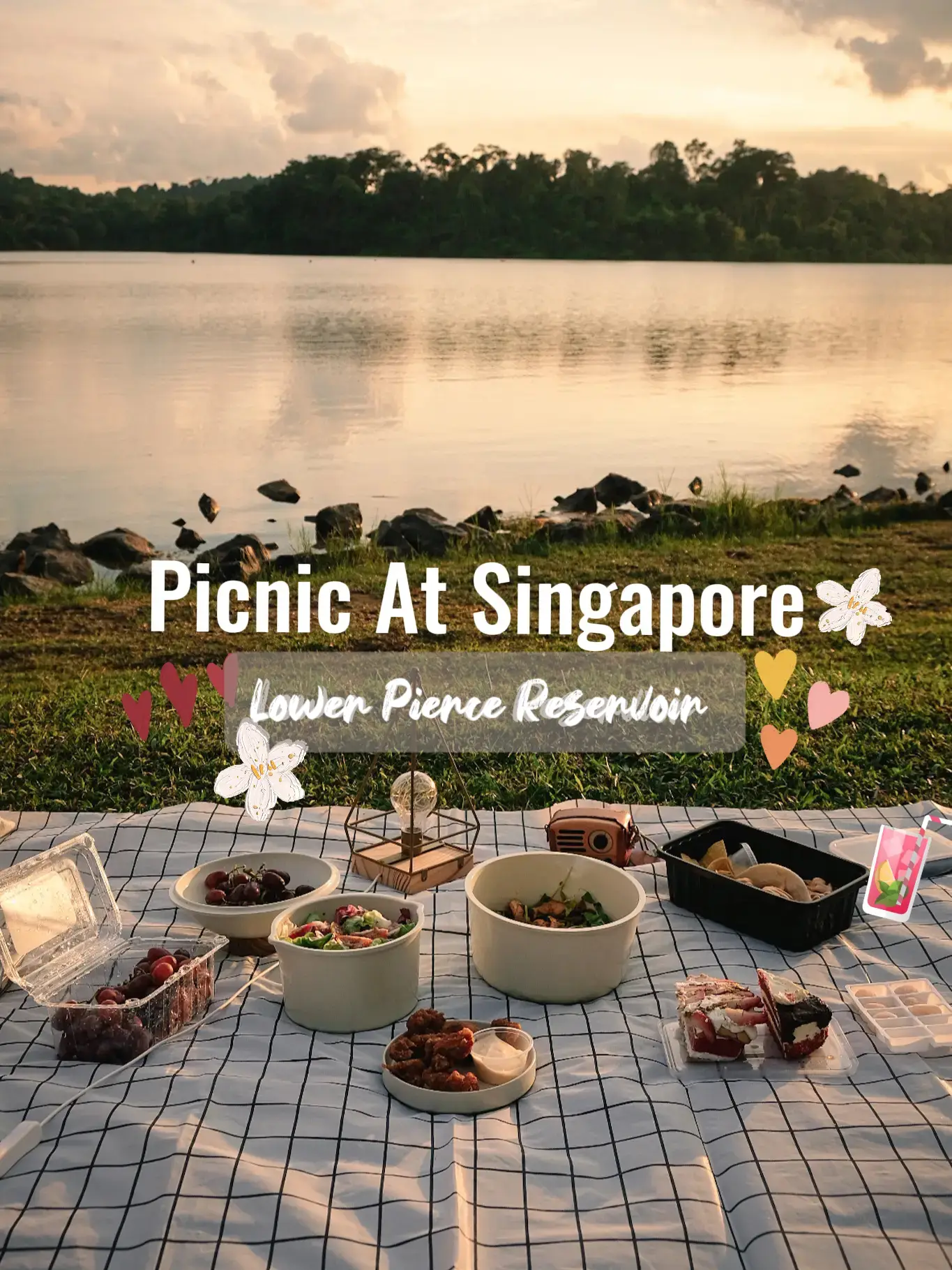 🇸🇬 SG Picnic Series: Lower Pierce Reservoir 🏞️🌅 | Video published by Caleb’s Hideout | Lemon8