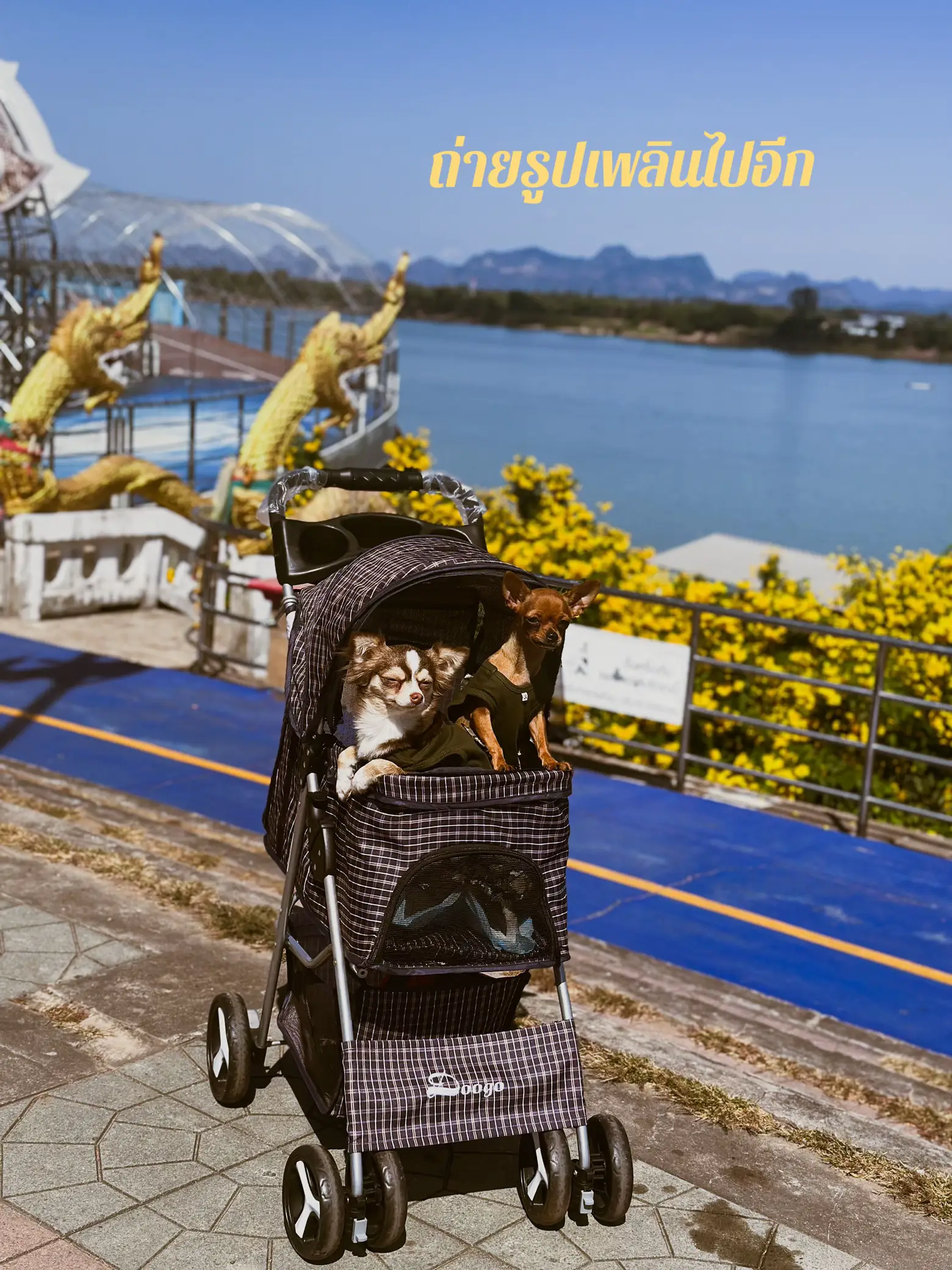 นครพนม บ้านเฮา | แกลเลอรีที่โพสต์โดย Jai ju | Lemon8