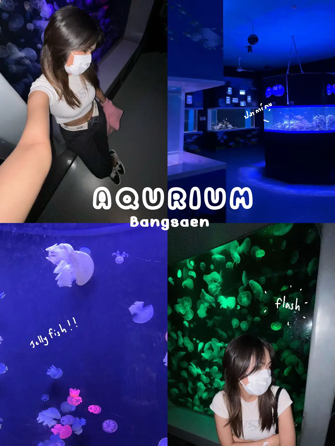 Bangsaen Aquarium | แกลเลอรีที่โพสต์โดย Pungping | Lemon8