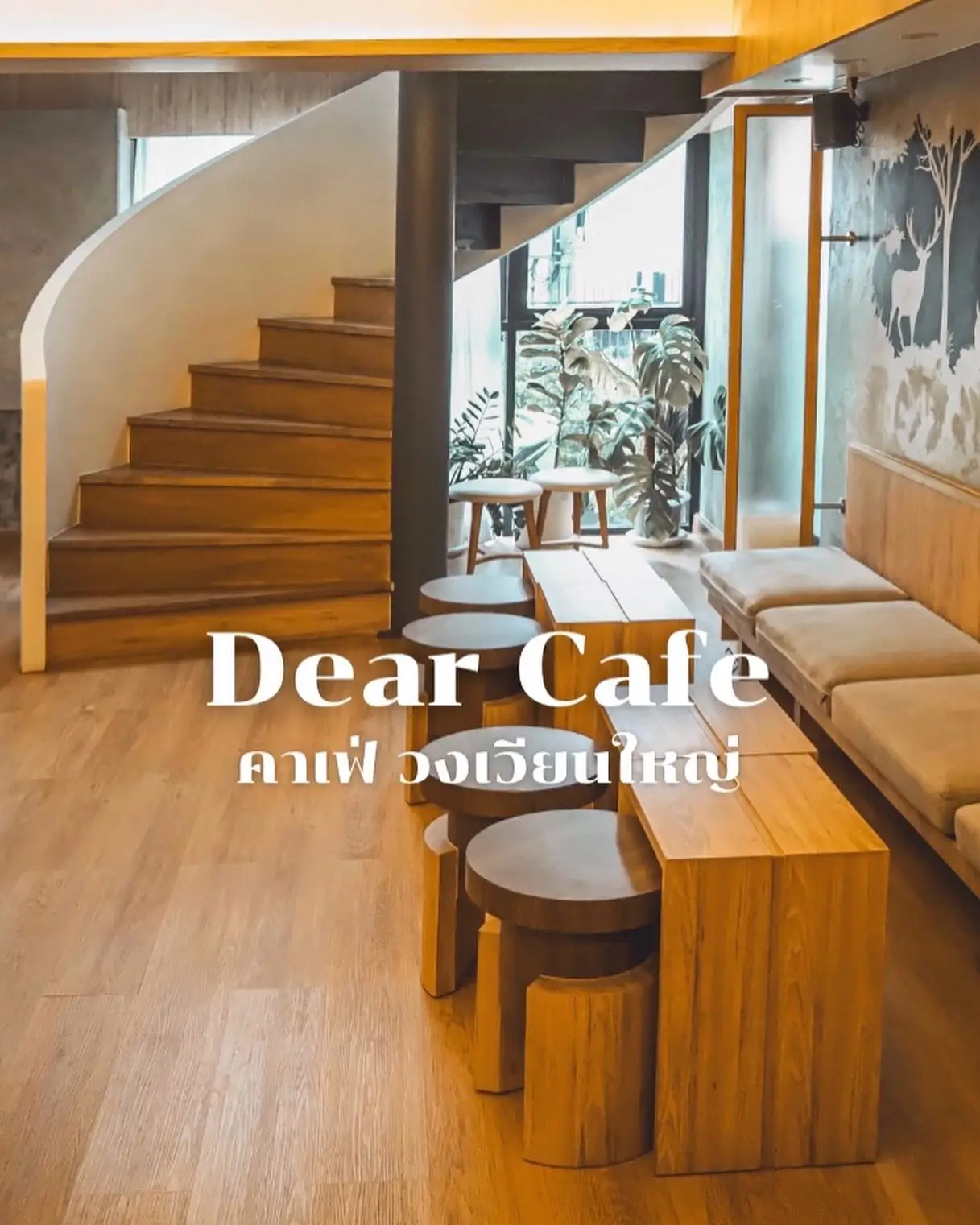 Dear cafe คาเฟ่ลับ แถววงเวียนใหญ่ | แกลเลอรีที่โพสต์โดย Mozkonn | Lemon8