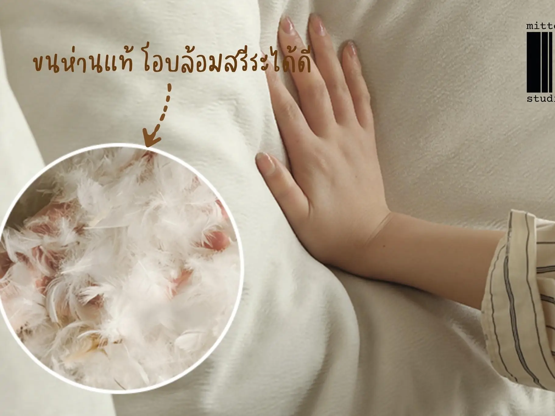 โซฟาสีขาวสุดชิค ที่เข้ากับบ้านทุกสไตล์ สายคุมโทนต้องโดน..!! | แกลเลอรีที่โพสต์โดย Mitten Studio ...