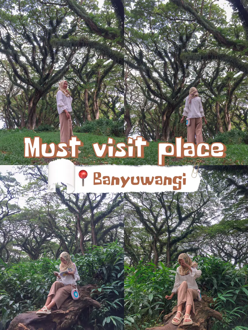 Hutan aesthetic dipusat kota Banyuwangi🌳 | Galeri diposting oleh Diahhh ...