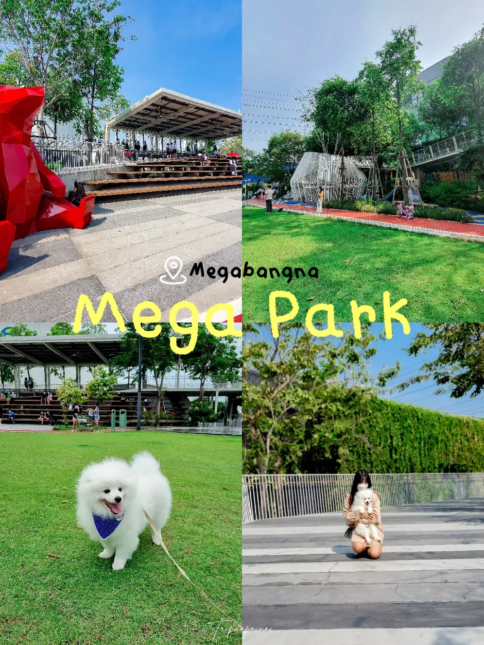 Mega Park สวนสาธารณะสำหรับคนรักน้องหมา | เข้าฟรี! | แกลเลอรีที่โพสต์โดย ...