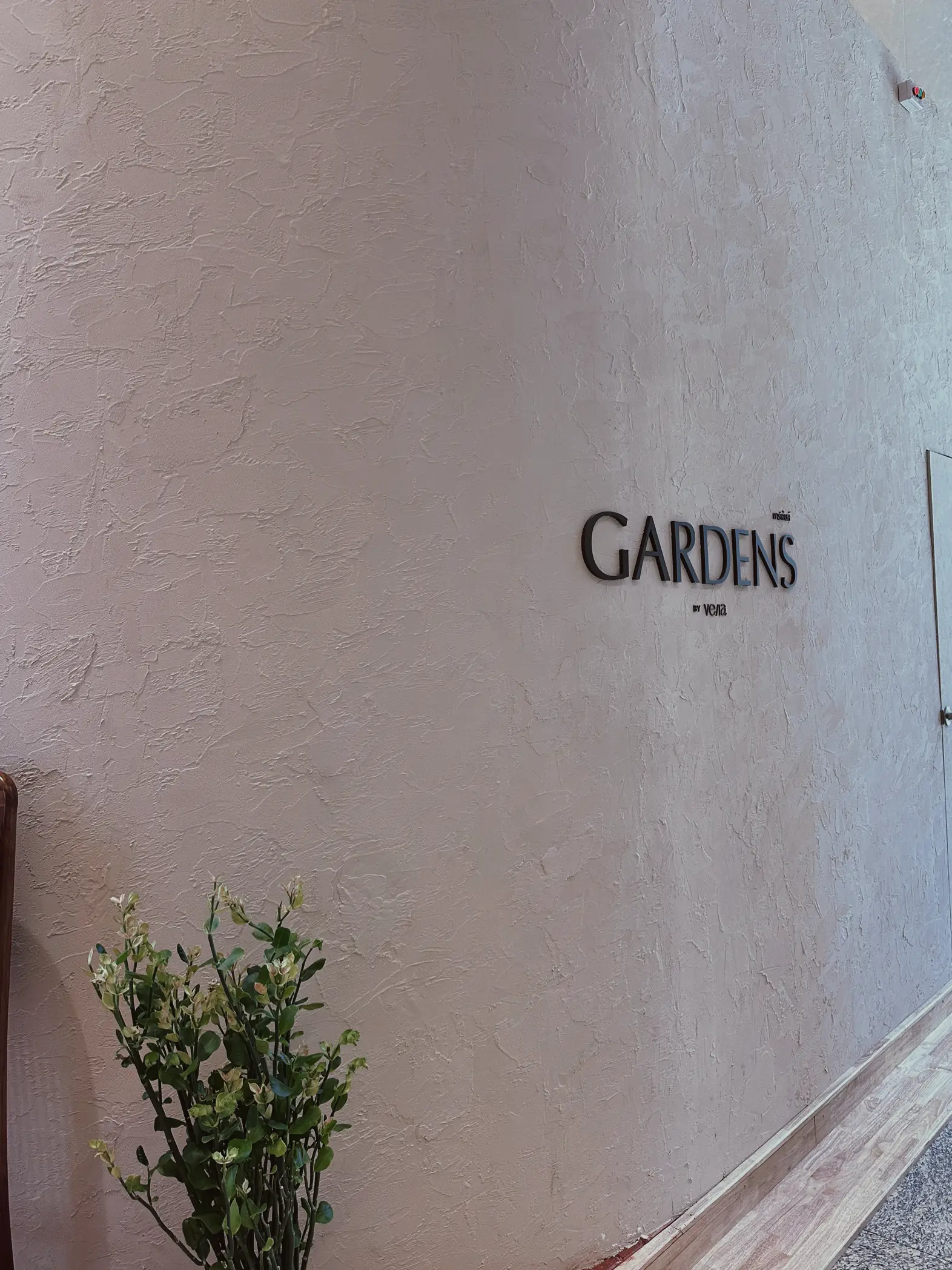 ร้าน Brunch เปิดใหม่ที่ Central World • GARDENS 🥗 | แกลเลอรีที่โพสต์โดย ALittle_Ghost | Lemon8