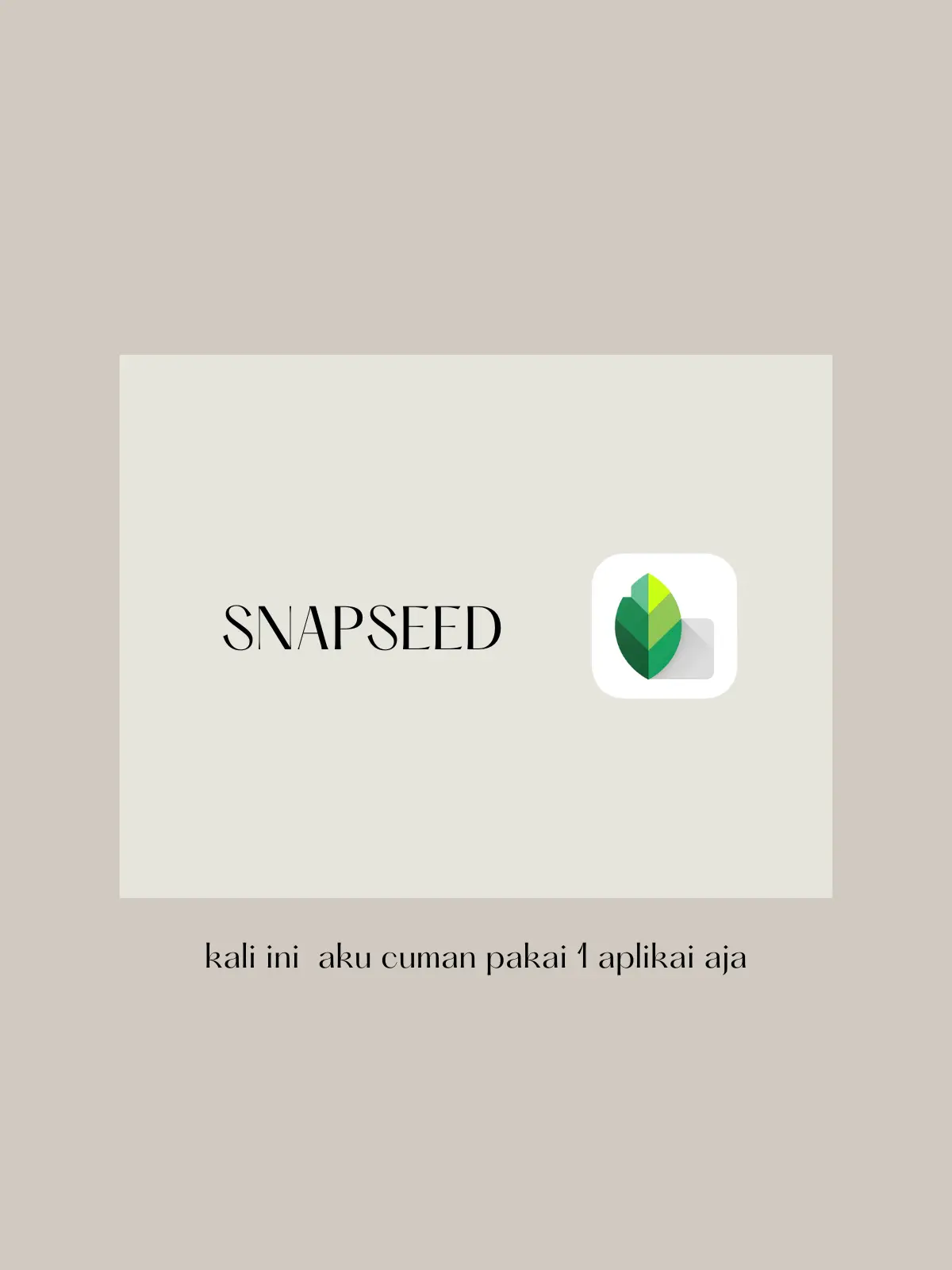 snapseed edit - Pencarian Lemon8