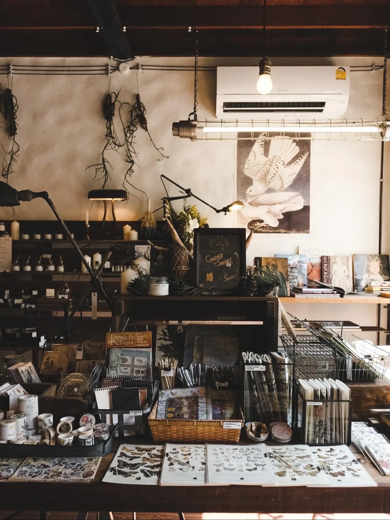 Cinder and smoke พื้นที่ศิลปะ เชียงใหม่ | แกลเลอรีที่โพสต์โดย Gamyuii ...