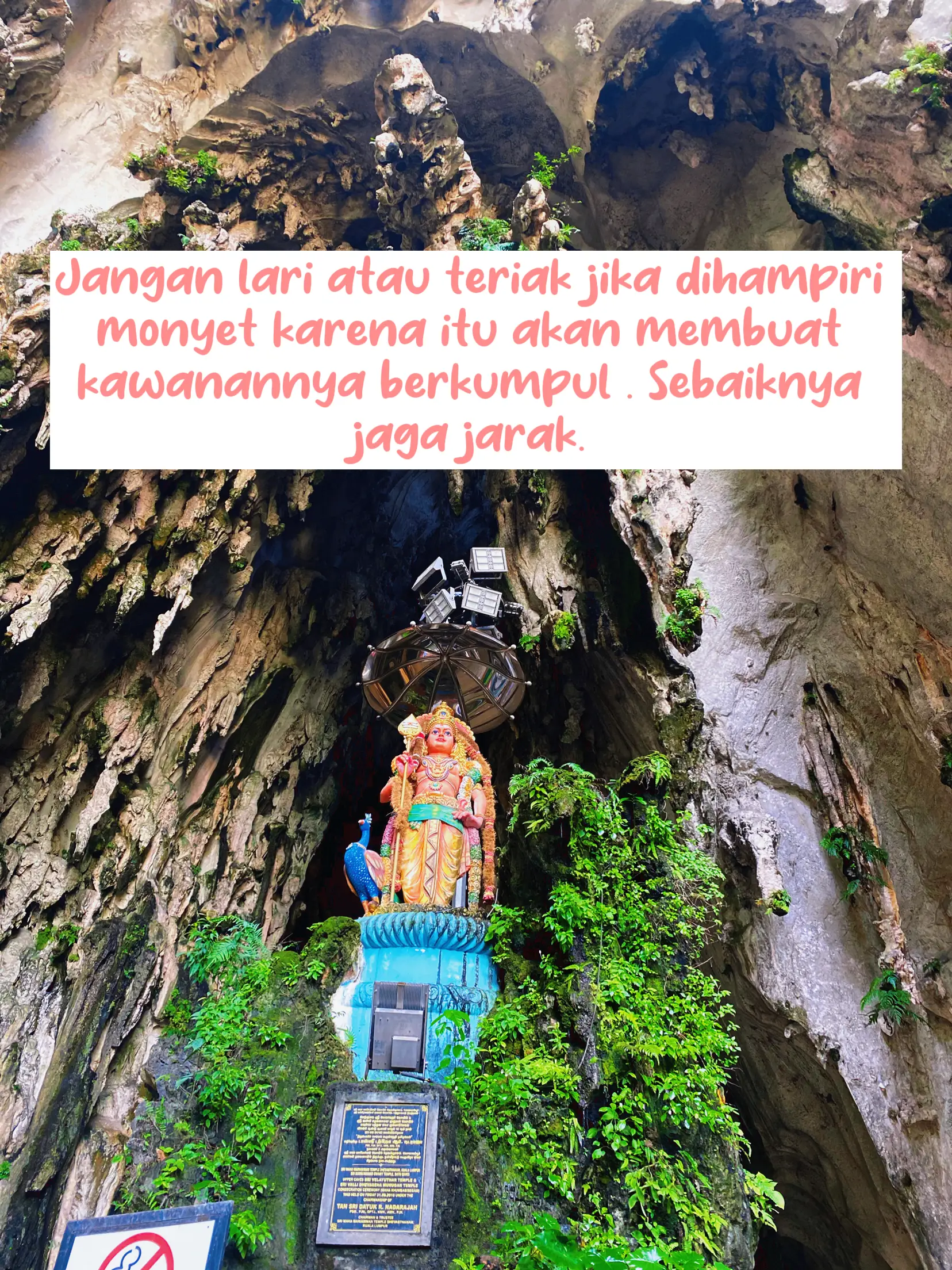 DO’S AND DON’T SAAT BERKUNJUNG KE BATU CAVES | Galeri diposting oleh Yan | Lemon8