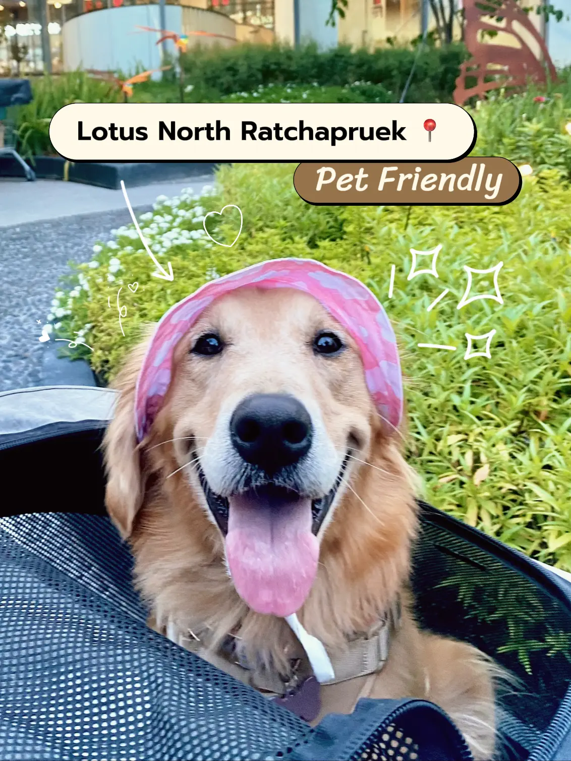 Lotus North Ratchapruek 📍 | วิดีโอที่เผยแพร่โดย Ploy Nutchaya | Lemon8