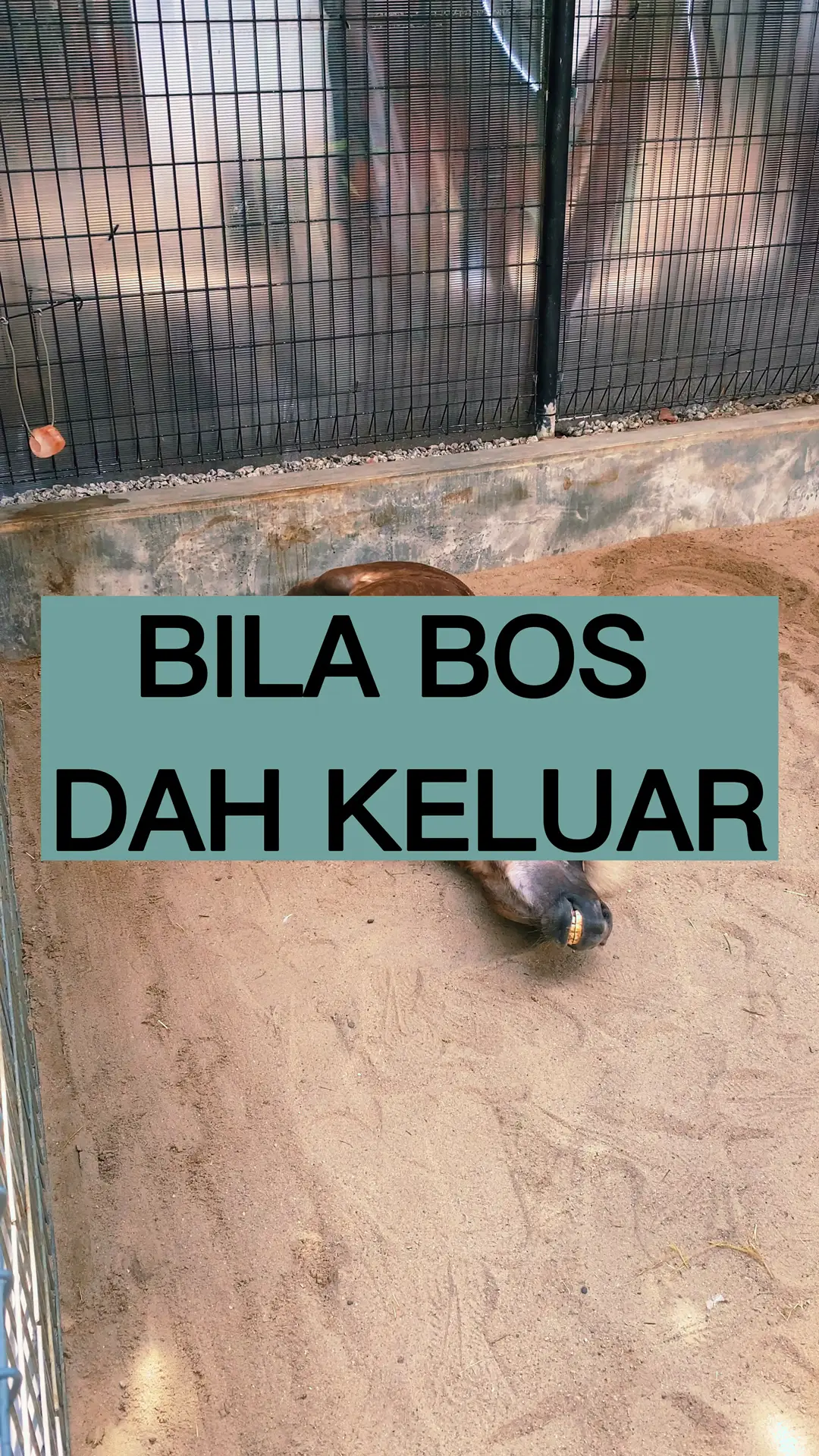 Bila bos dah keluar | Video diterbitkan oleh Boss Mewah | Lemon8