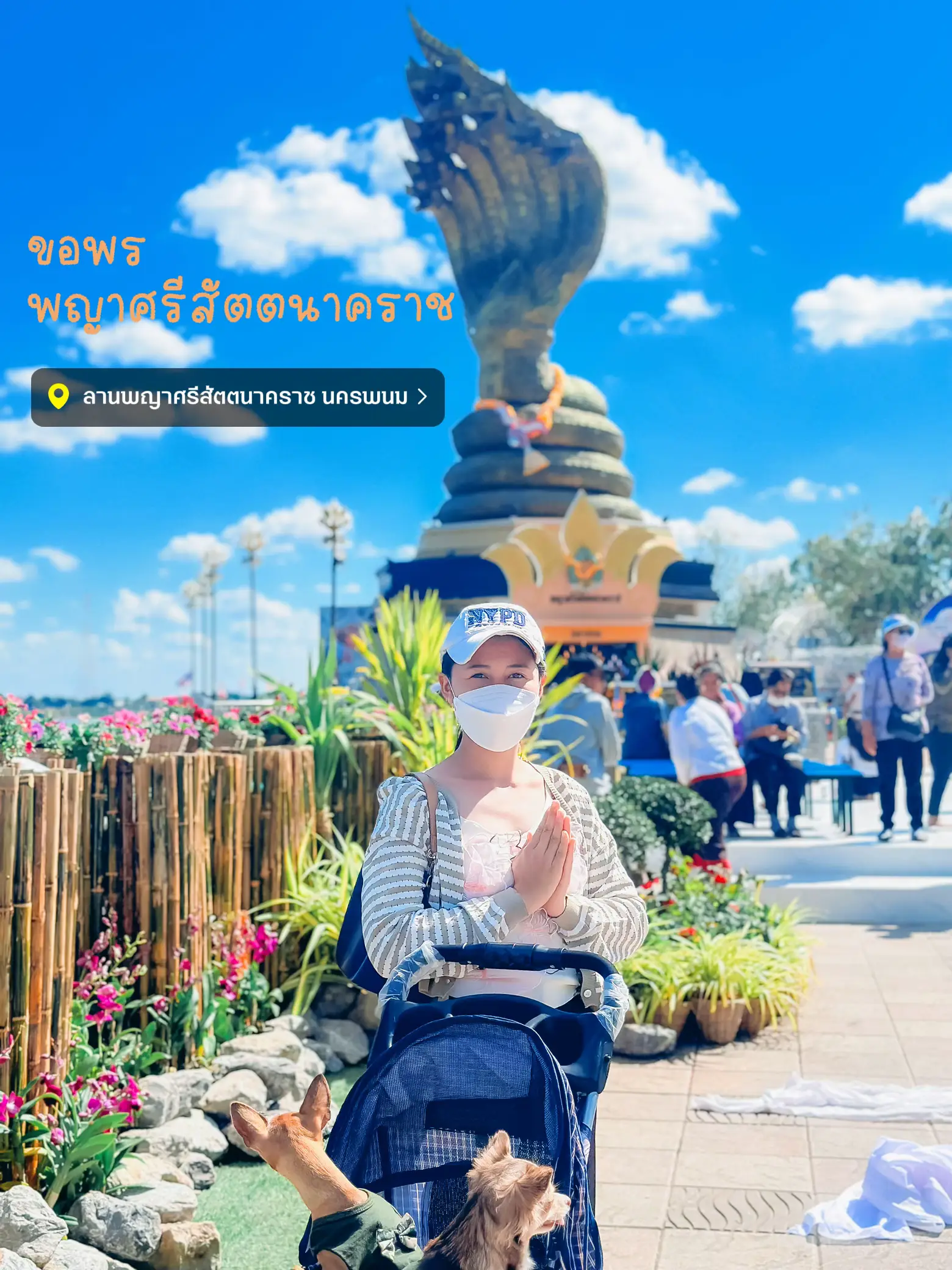 นครพนม บ้านเฮา | แกลเลอรีที่โพสต์โดย Jai ju | Lemon8