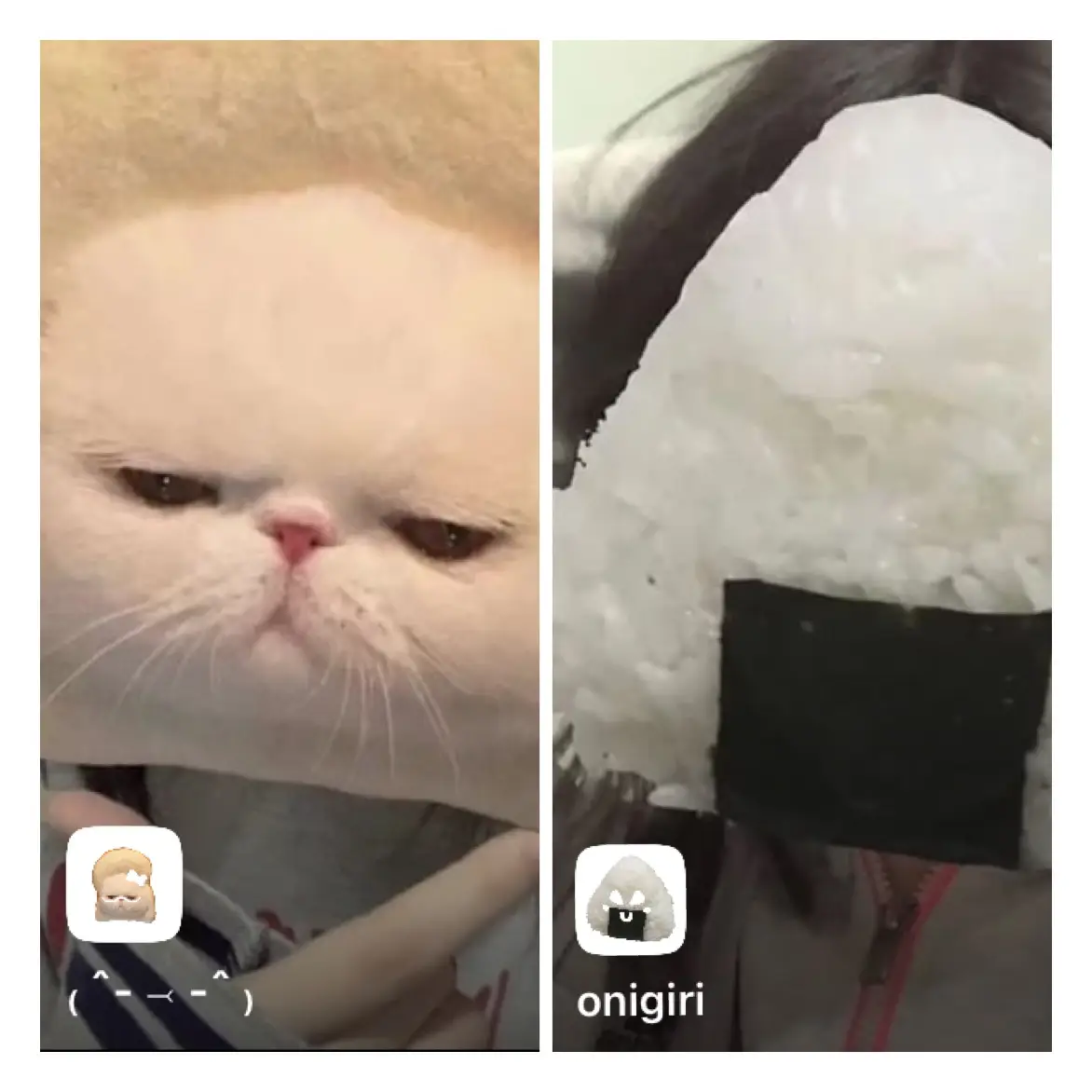 แนะนำฟิลเตอร์ไอจีแบบไม่เห็นหน้า! | แกลเลอรีที่โพสต์โดย Palii_ | Lemon8