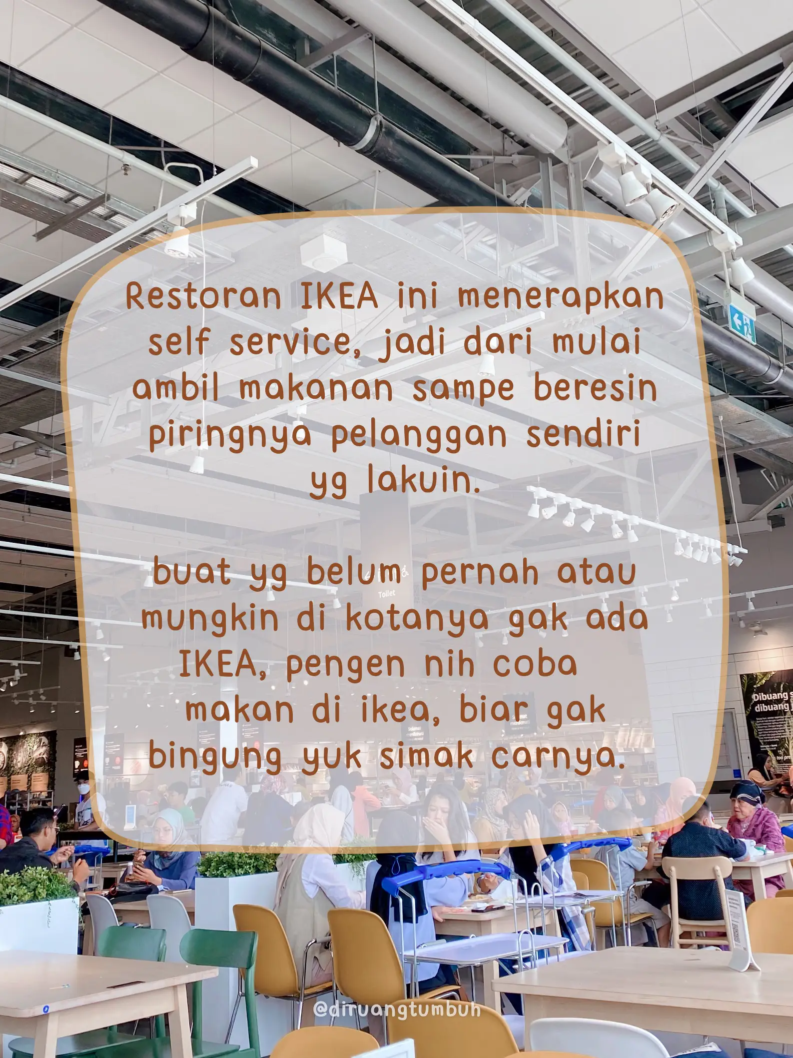 CARA MAKAN DI IKEA | Galeri diposting oleh diruangtumbuh | Lemon8