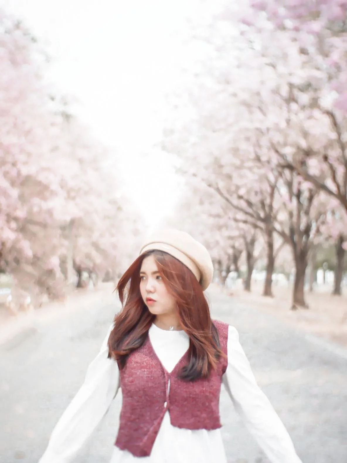 ชมพูพันธุ์ทิพย์ 🌸 บานแล้วนะทุกคนนน | แกลเลอรีที่โพสต์โดย Ploy's Memory | Lemon8