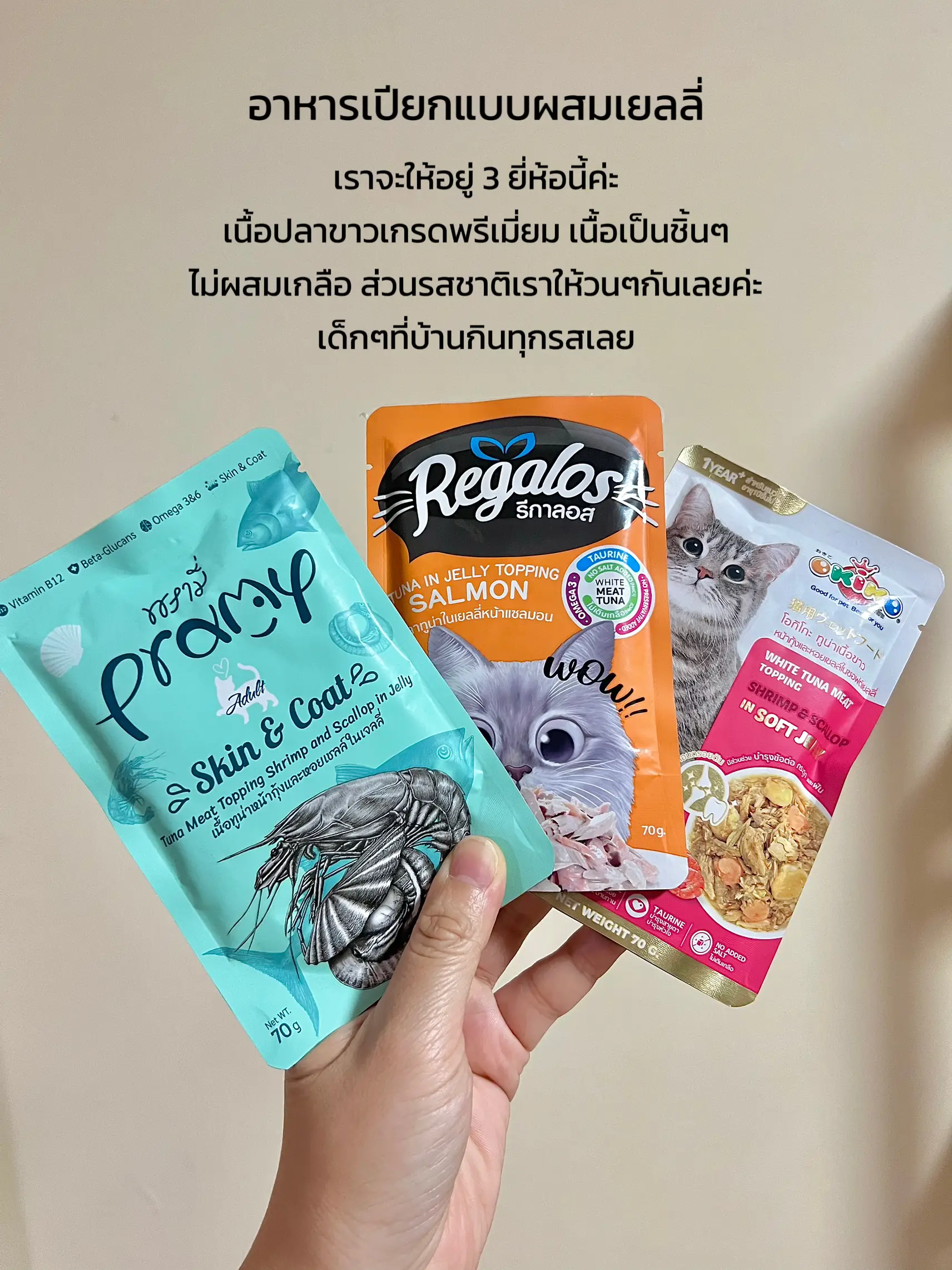 My Cat EP.2 : มัดรวมอาหารเจ้าเหมียว สุขภาพดี ตัวแน่นตั๊บ😋 | แกลเลอรีที่โพสต์โดย ไก่ดอนชอบรีวิว ...