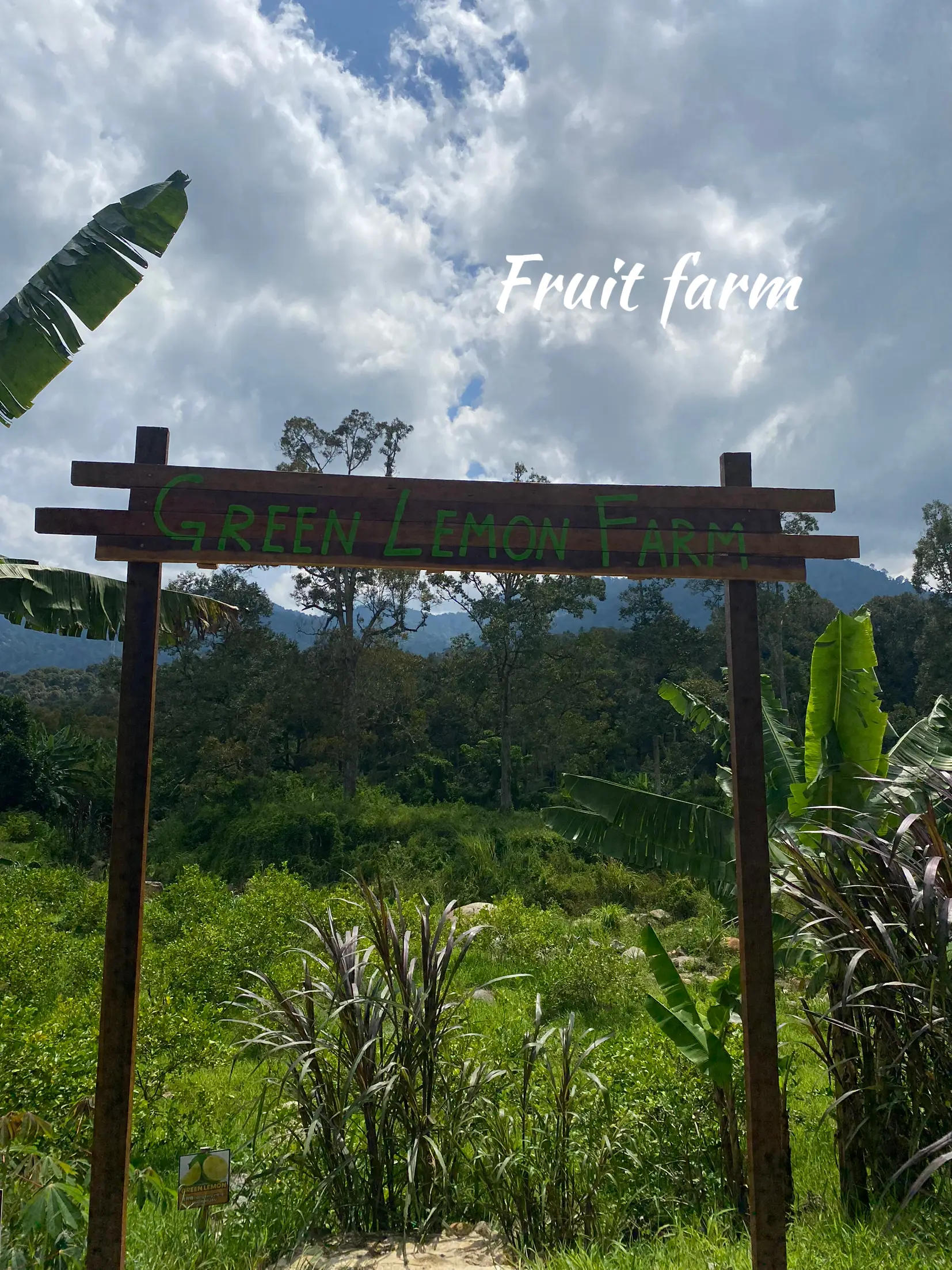 Let’s Glamping together⛺️ 《Go Glamping @ Raub 》 | Galeri disiarkan oleh ...