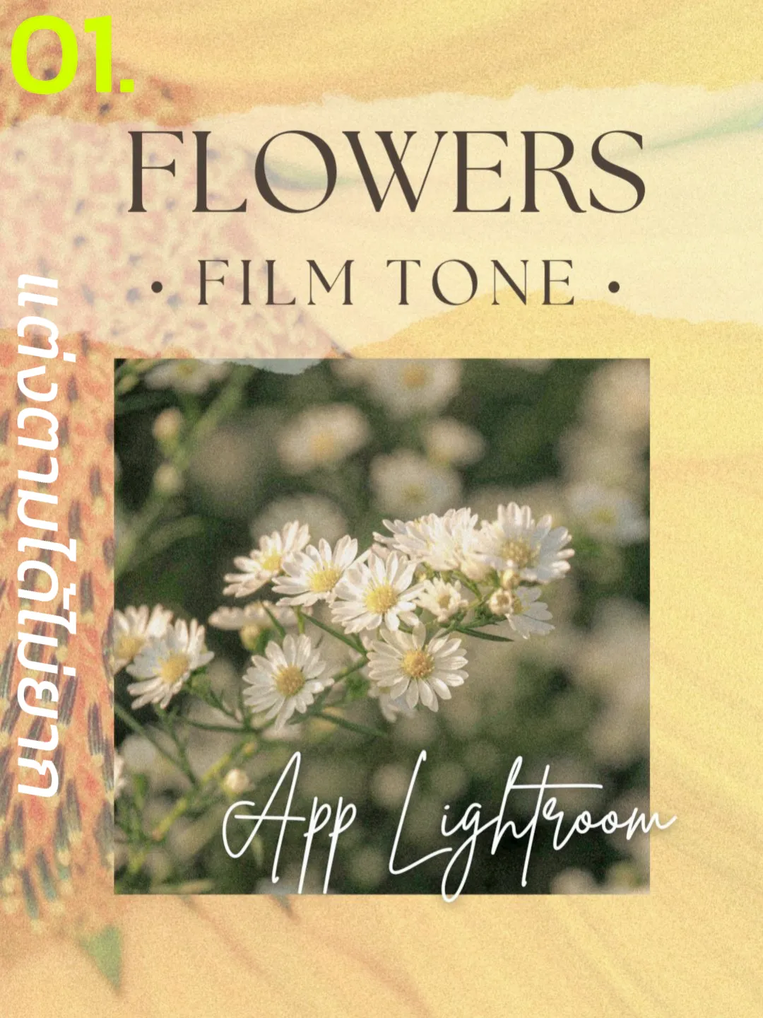 แจกโทน flowers film tone | App Lightroom | แกลเลอรีที่โพสต์โดย Mozkonn ...