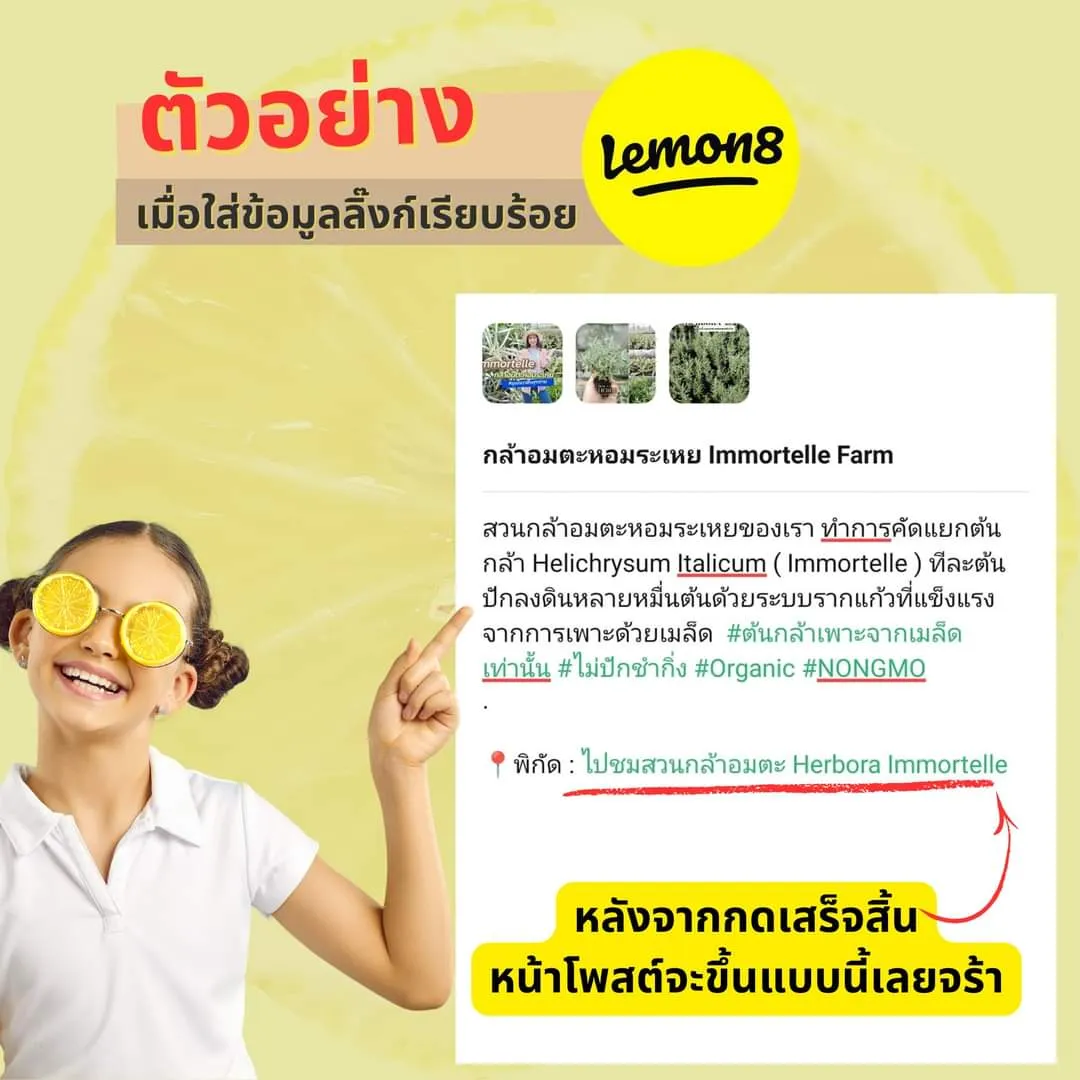 แนะนำ! วิธีใส่ Link ในแอพ Lemon8 🍋 | แกลเลอรีที่โพสต์โดย Vaphatsorn | Lemon8