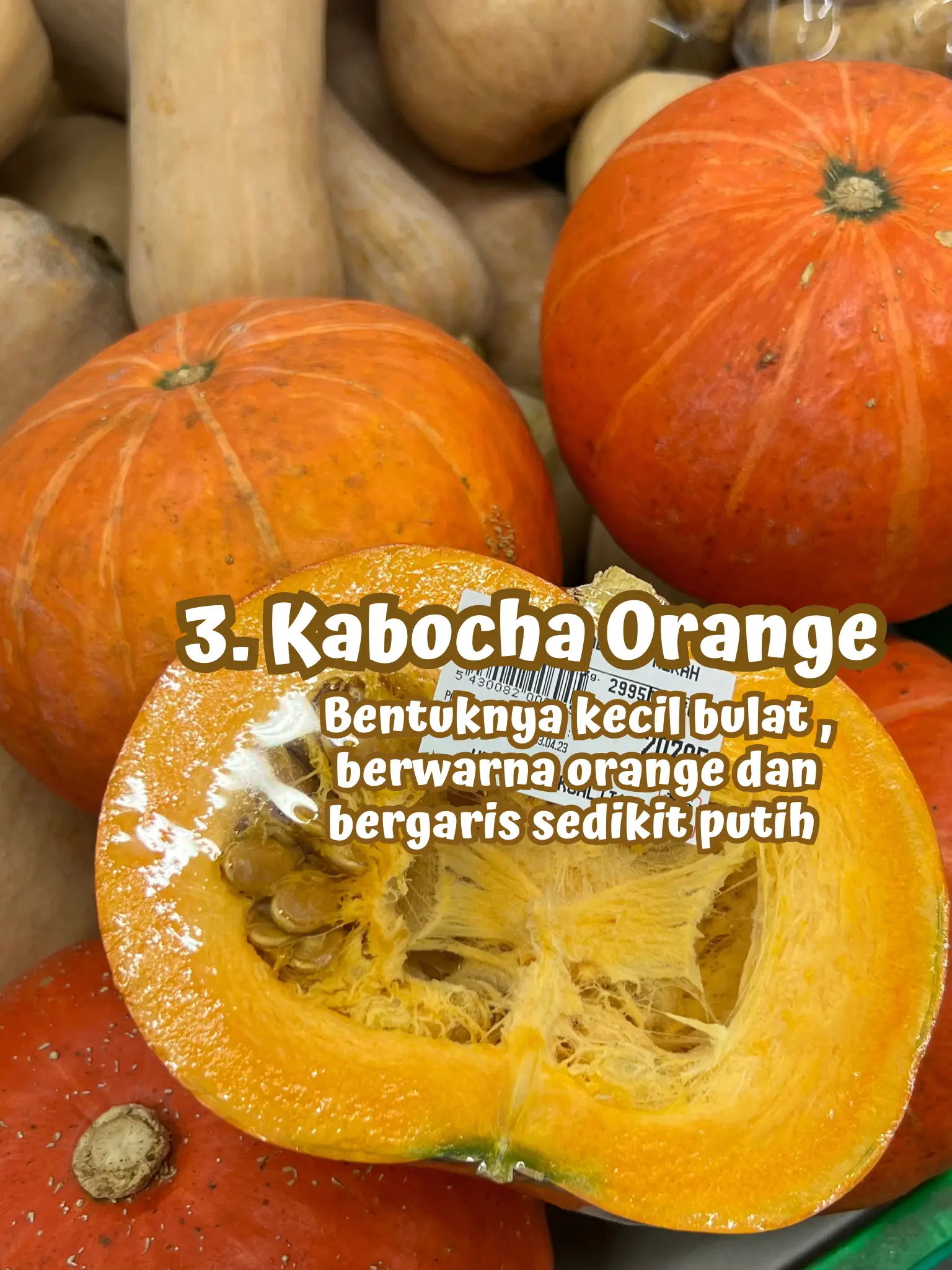 Yuk kenali macam macam bentuk dari labu kuning | Galeri diposting oleh ...