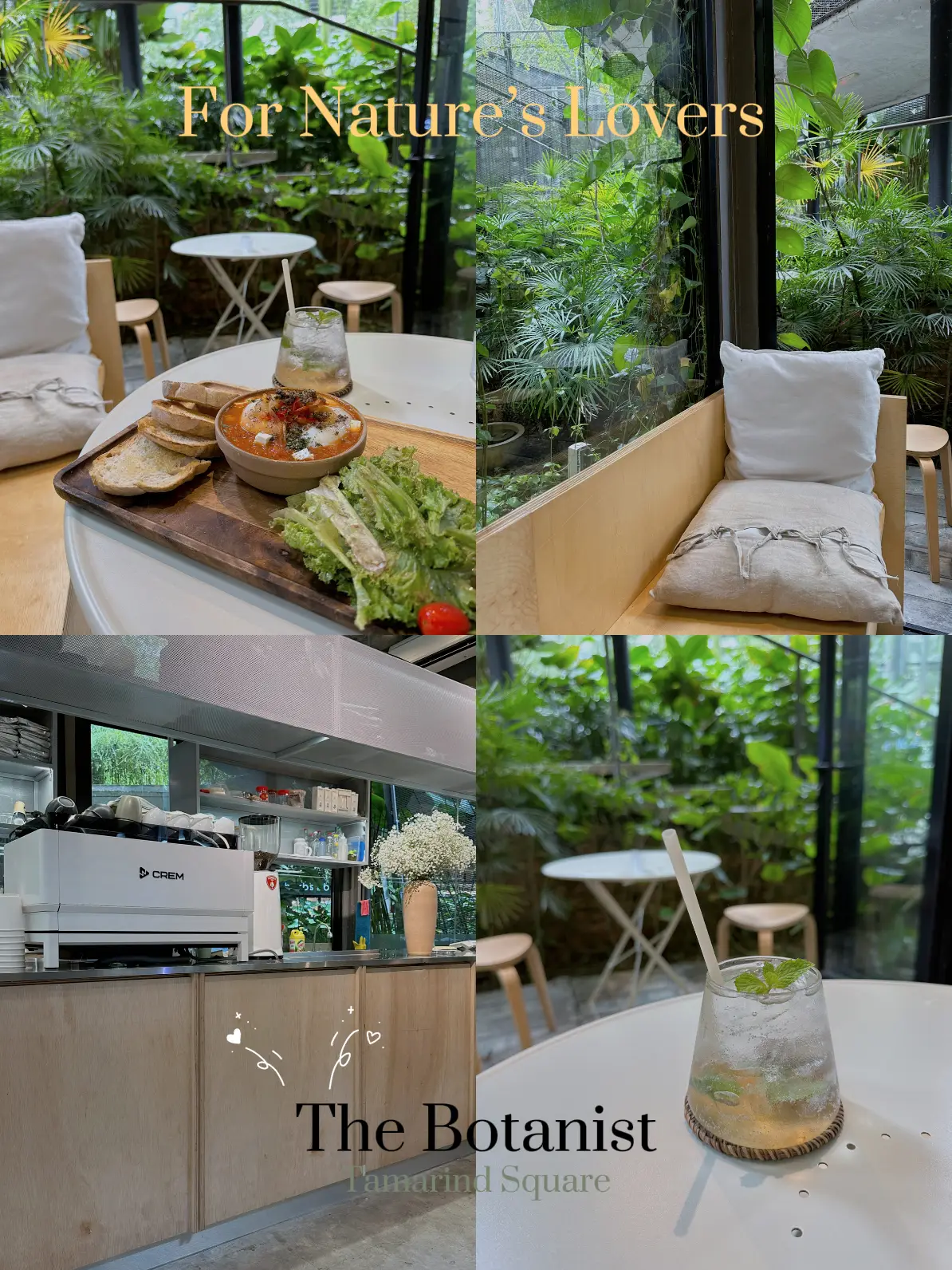 Botanist Cafe Cyberjaya | Galeri disiarkan oleh Syaza Edmira | Lemon8