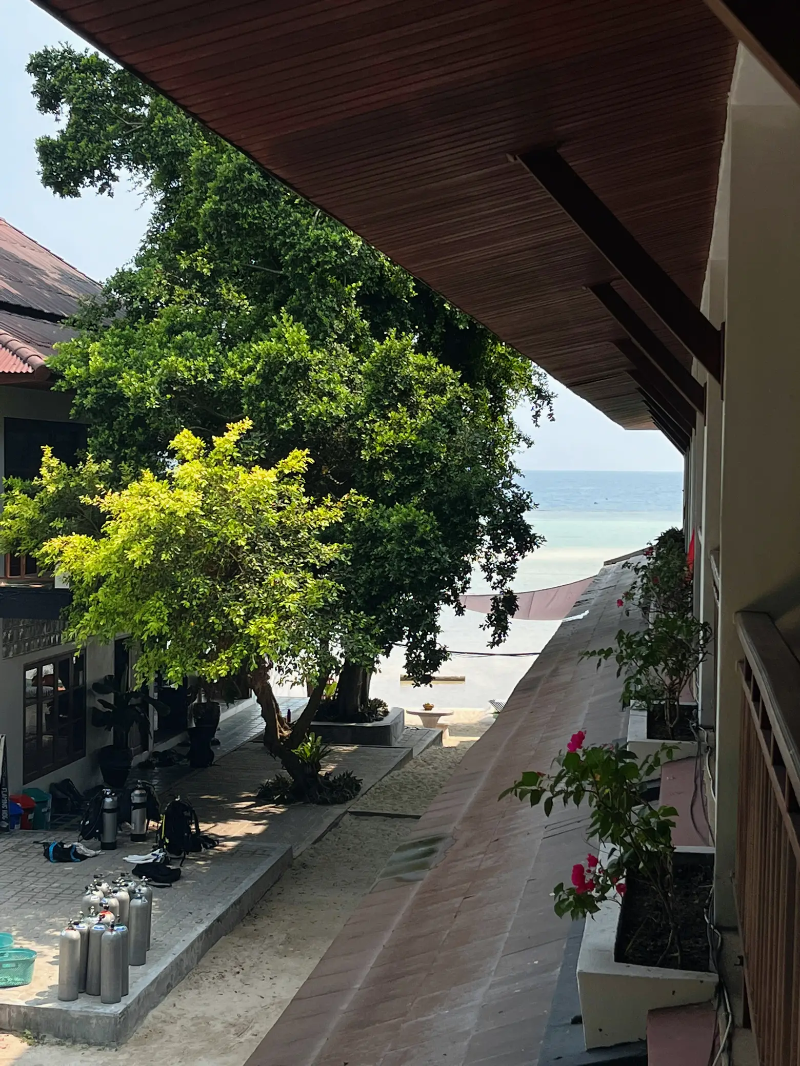 ที่พักเกาะเต่าตกคนละ 2xx.-/คืน แถมติดริมทะเล คุ้มไม่คุ้ม! 🌴 | แกลเลอรีที่โพสต์โดย Ugmii | Lemon8