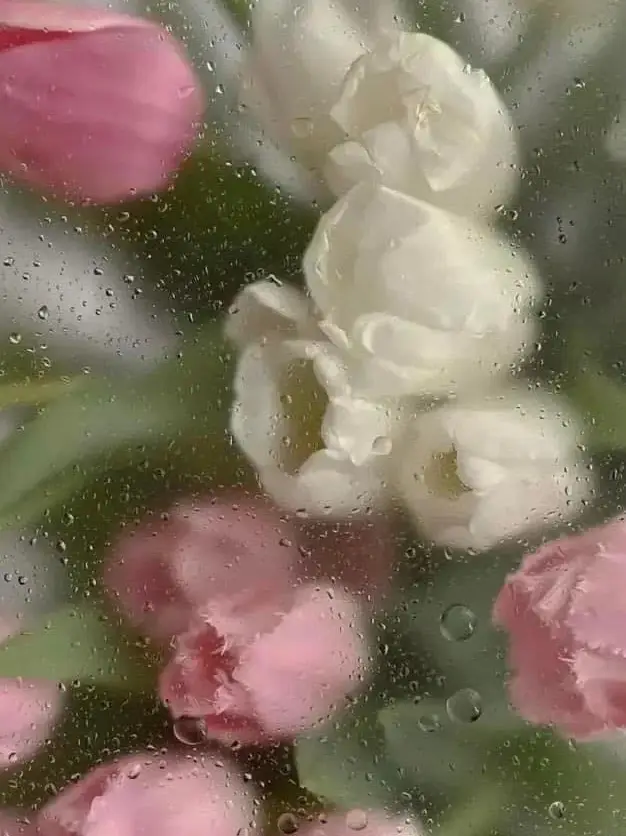 Flower Wallpaper Steam | Gallery posted by 𝙖𝙮𝙢 | Lemon8