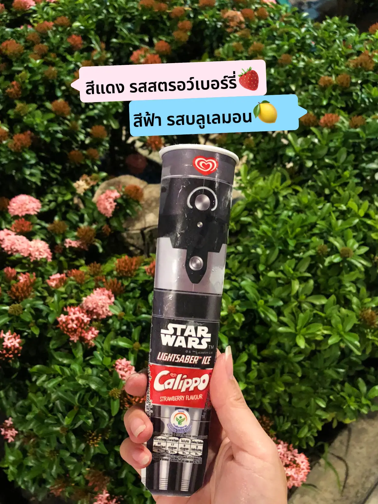 ไอติมวอลล์รสใหม่ | แกลเลอรีที่โพสต์โดย jxngksm | Lemon8