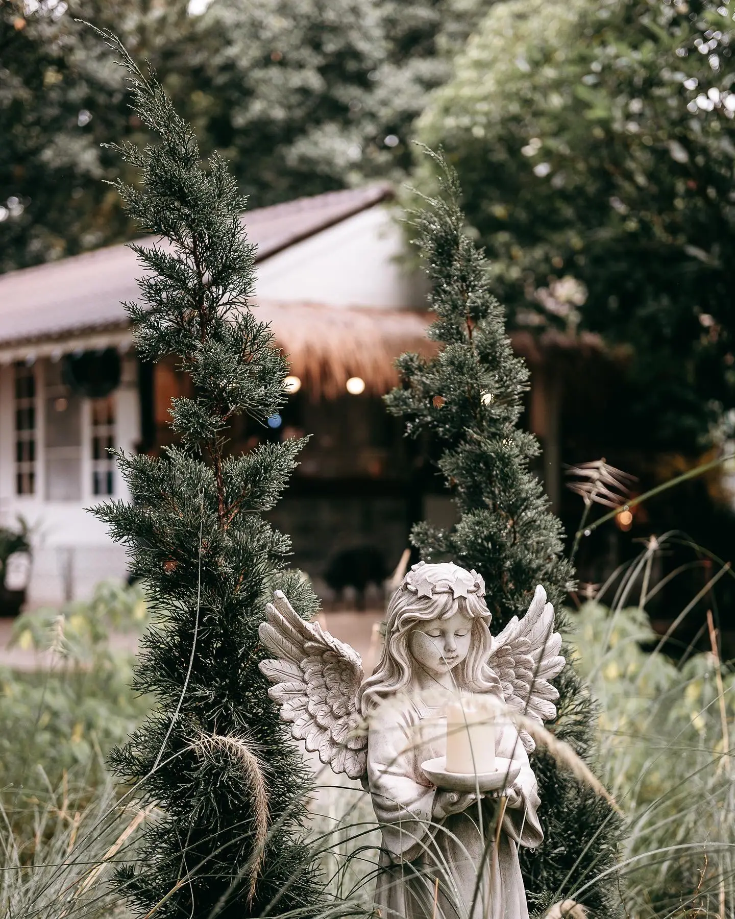 41 and 42 Farm to Cafe บรรยากาศใกล้ชิดธรรมชาติที่โคราช | แกลเลอรีที่ ...