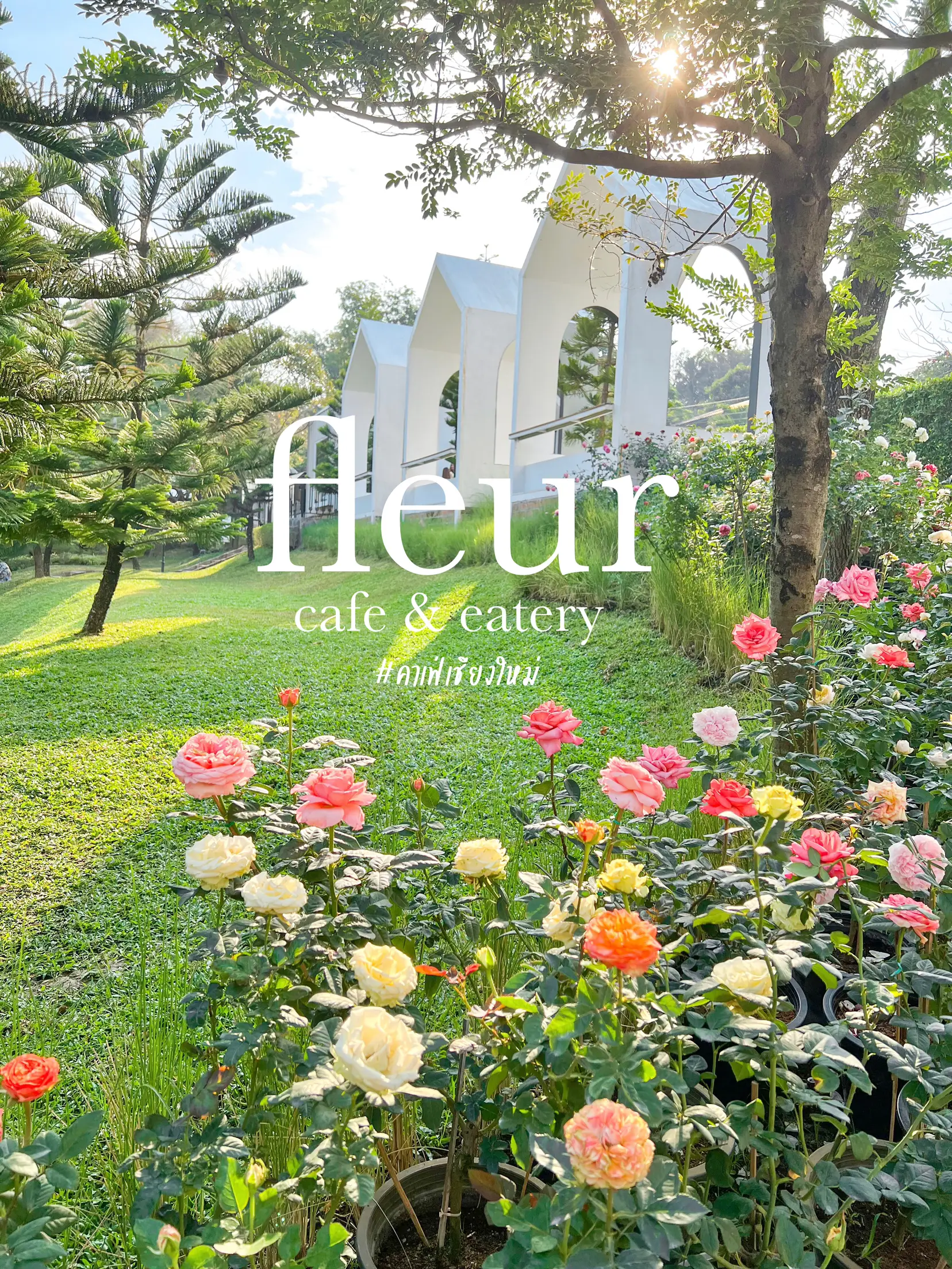 Fleur Cafe & Eatery คาเฟ่เชียงใหม่ที่ห้ามพลาด💐 | แกลเลอรีที่โพสต์โดย ...
