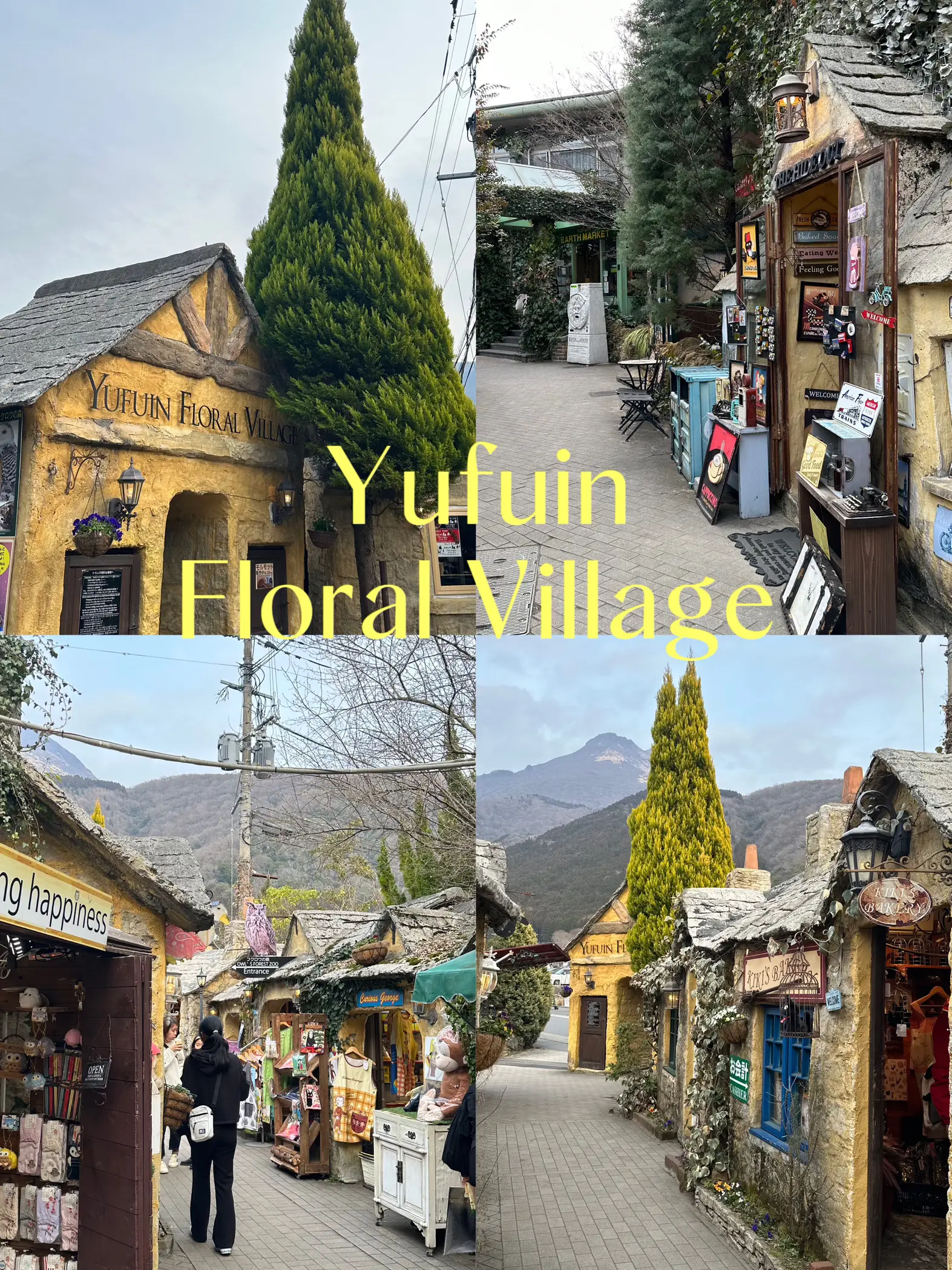 🤍 พาเที่ยว Kinrin lake & Yufuin Floral village 🇯🇵 | แกลเลอรีที่โพสต์โดย ...