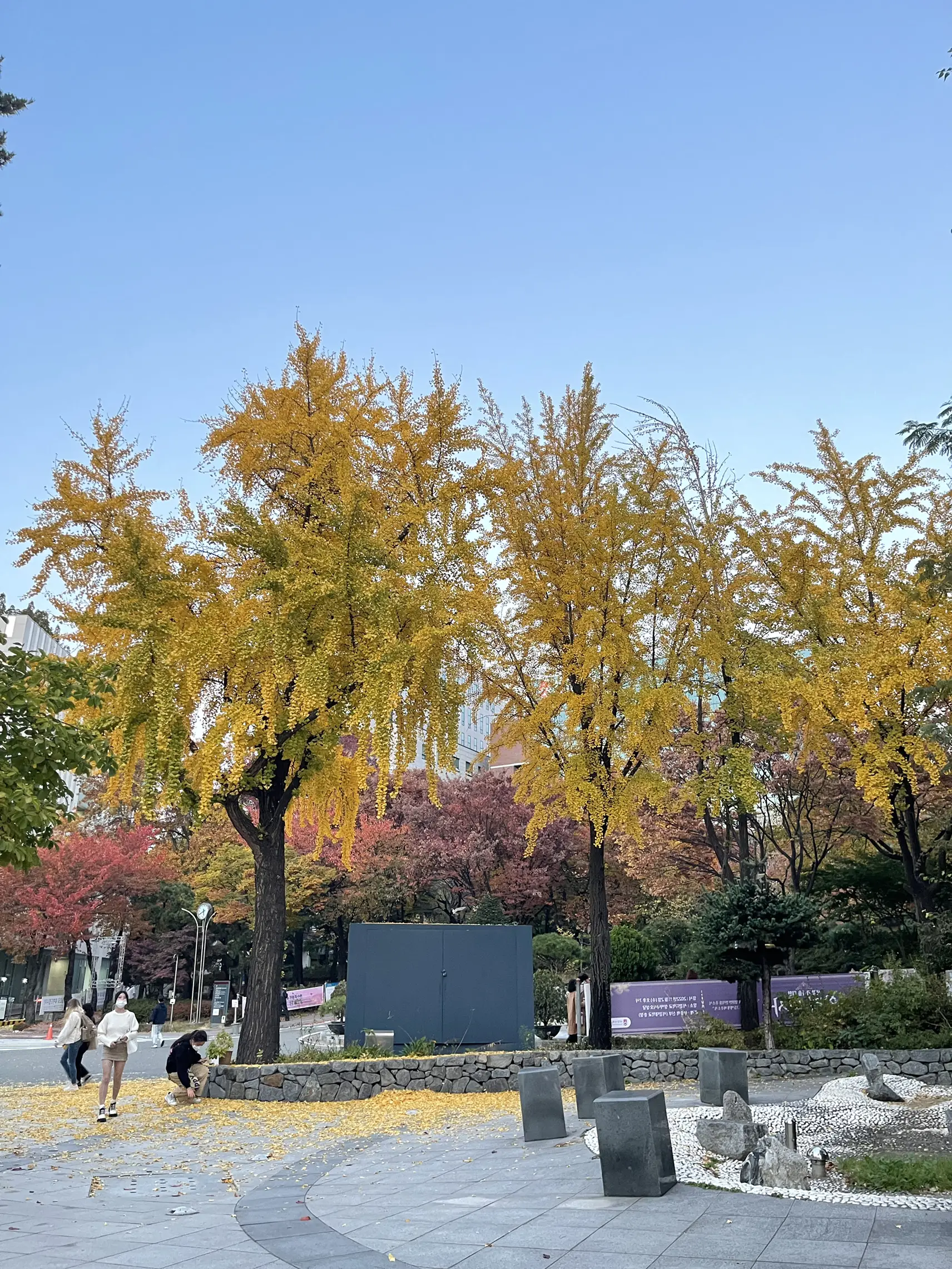 DEAR NOVEMBER 🍁 เกาหลีในฤดูใบไม้ร่วง (가을) | แกลเลอรีที่โพสต์โดย npsn.s ...