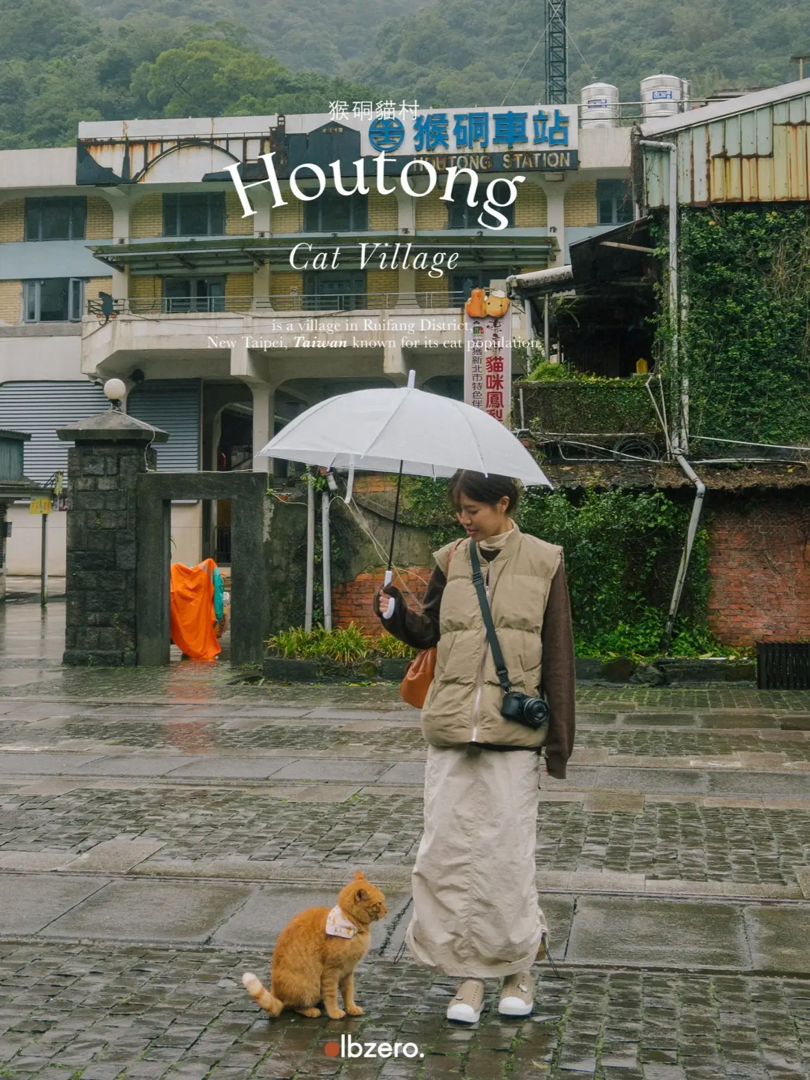 หมู่บ้านแมว ‘Houtong Cat Village’ #ไต้หวัน 🐈🇹🇼 | Gallery posted by lbzero | Lemon8