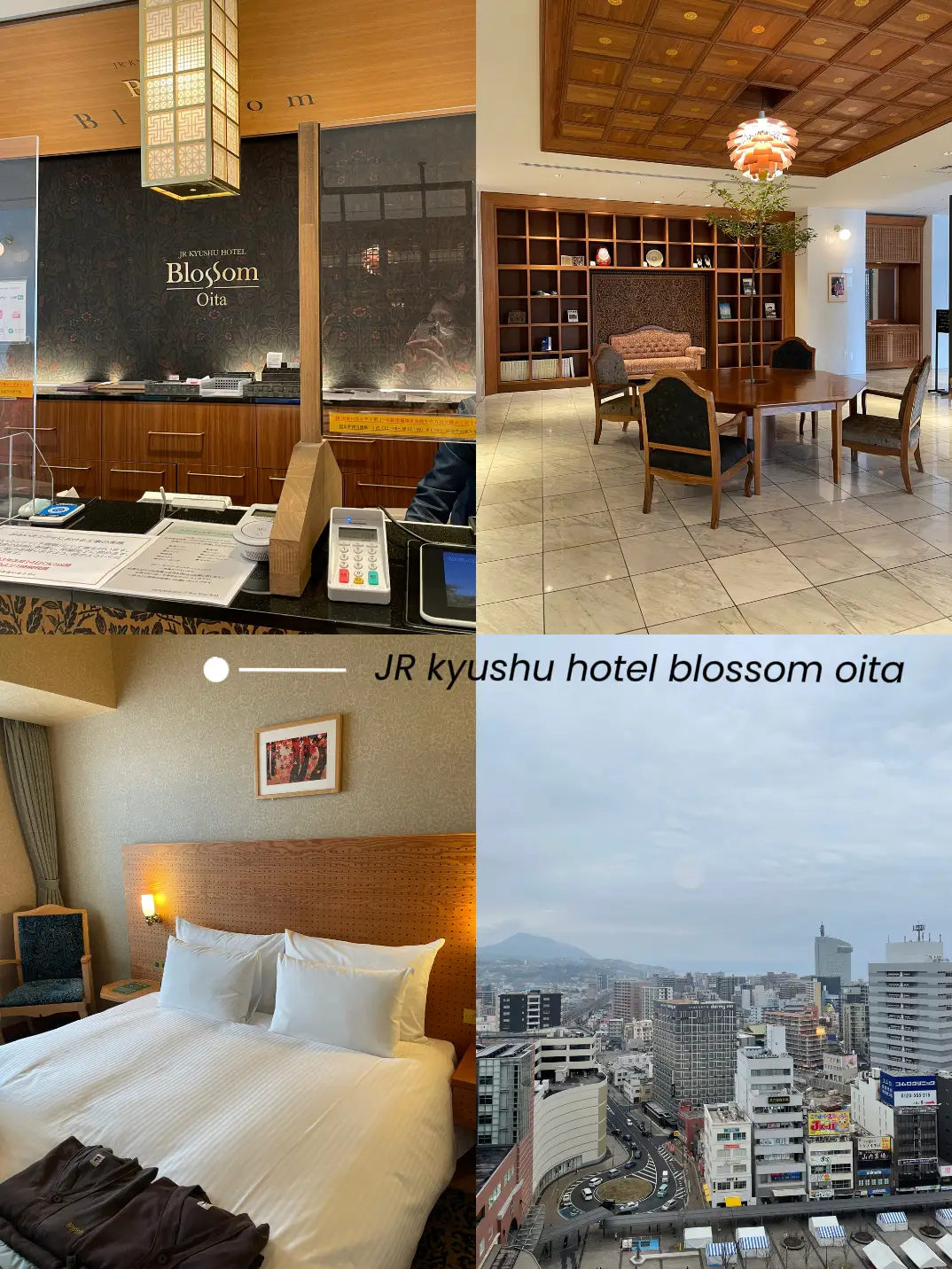 Horse and carriage ride - การค้นหาใน Lemon8