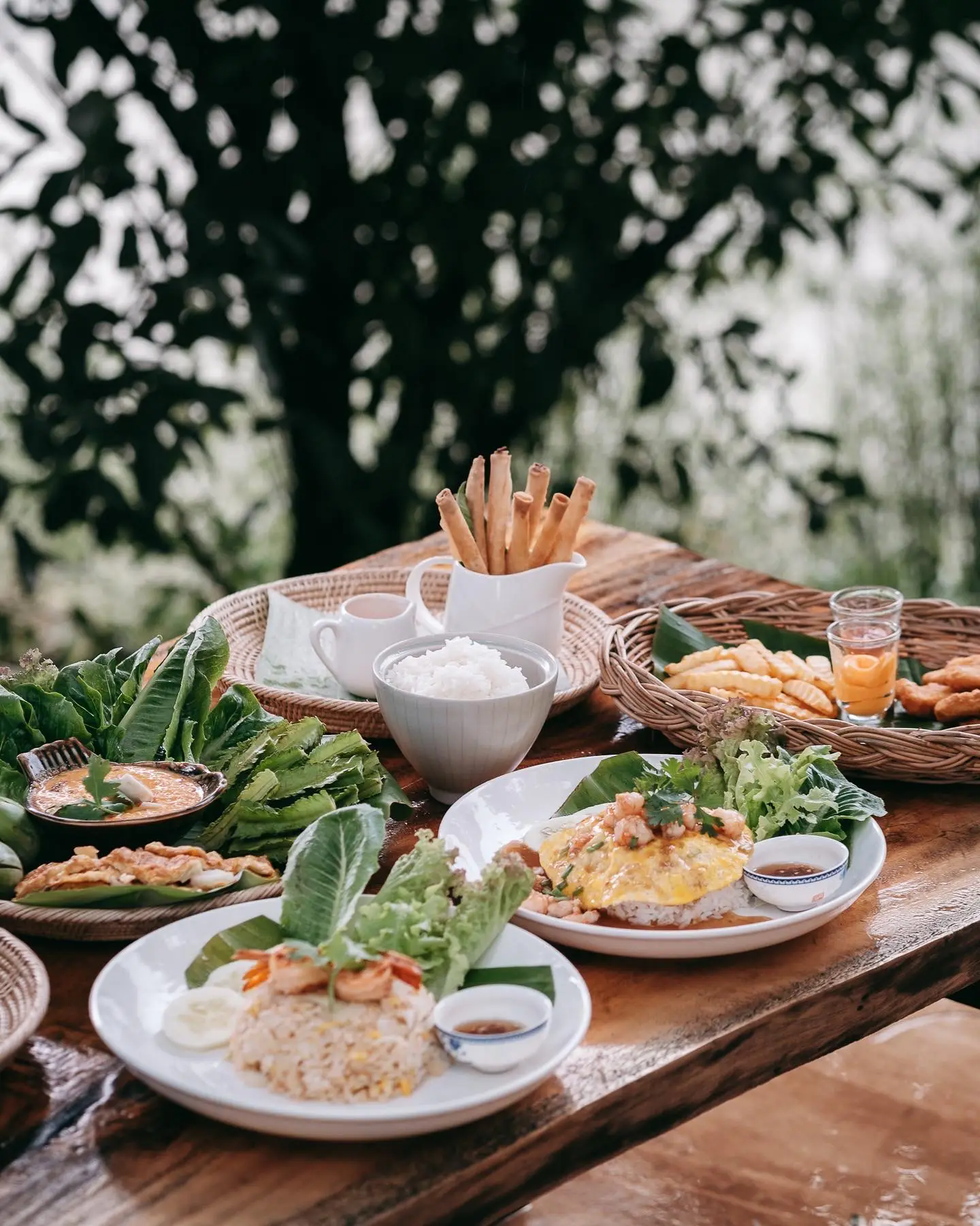 41 and 42 Farm to Cafe บรรยากาศใกล้ชิดธรรมชาติที่โคราช | แกลเลอรีที่ ...